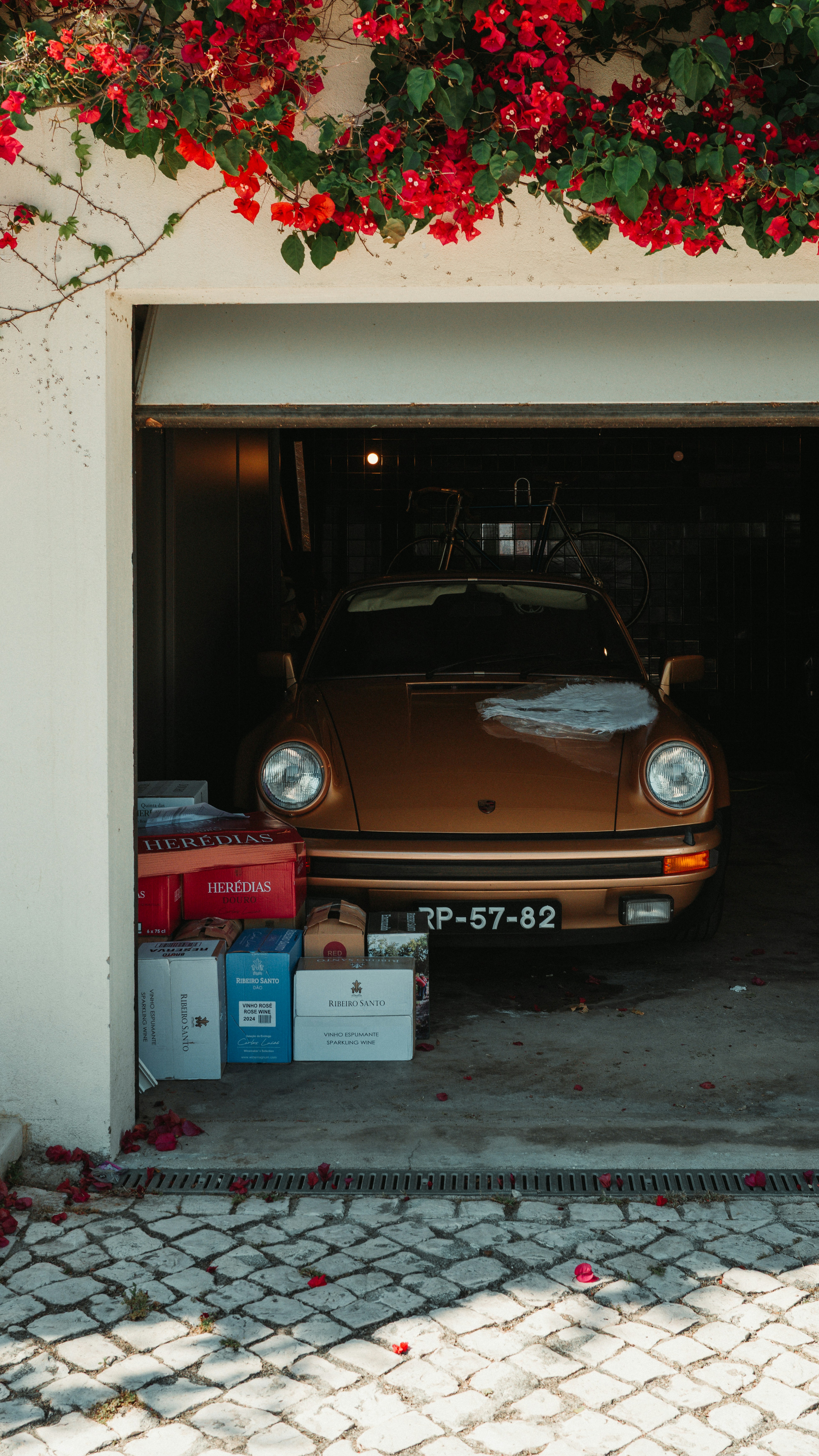 Bougainvillea-Framed Porsche 911 in a Quiet Garage