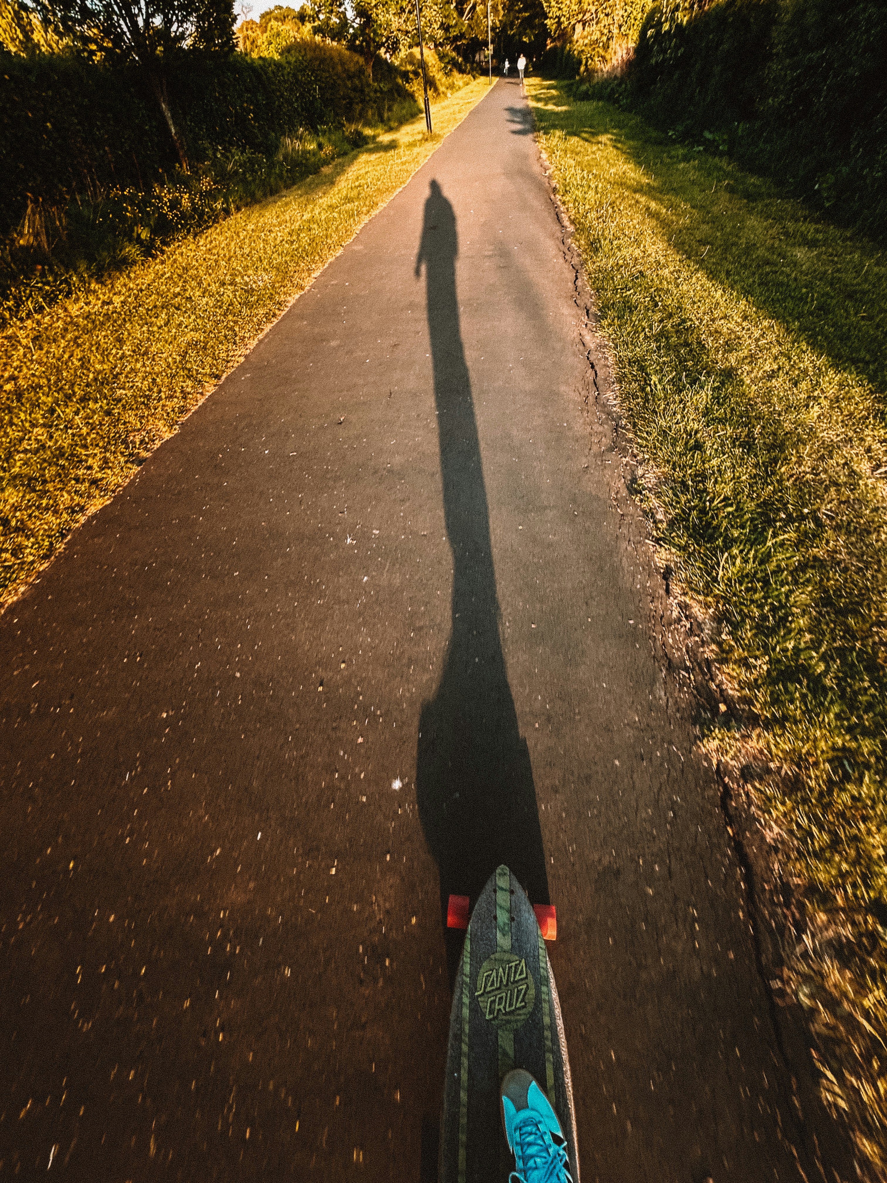 Long shadow cast on a pathway as a skateboarder glides forward, framed by lush greenery. The scene captures a moment of freedom and movement.