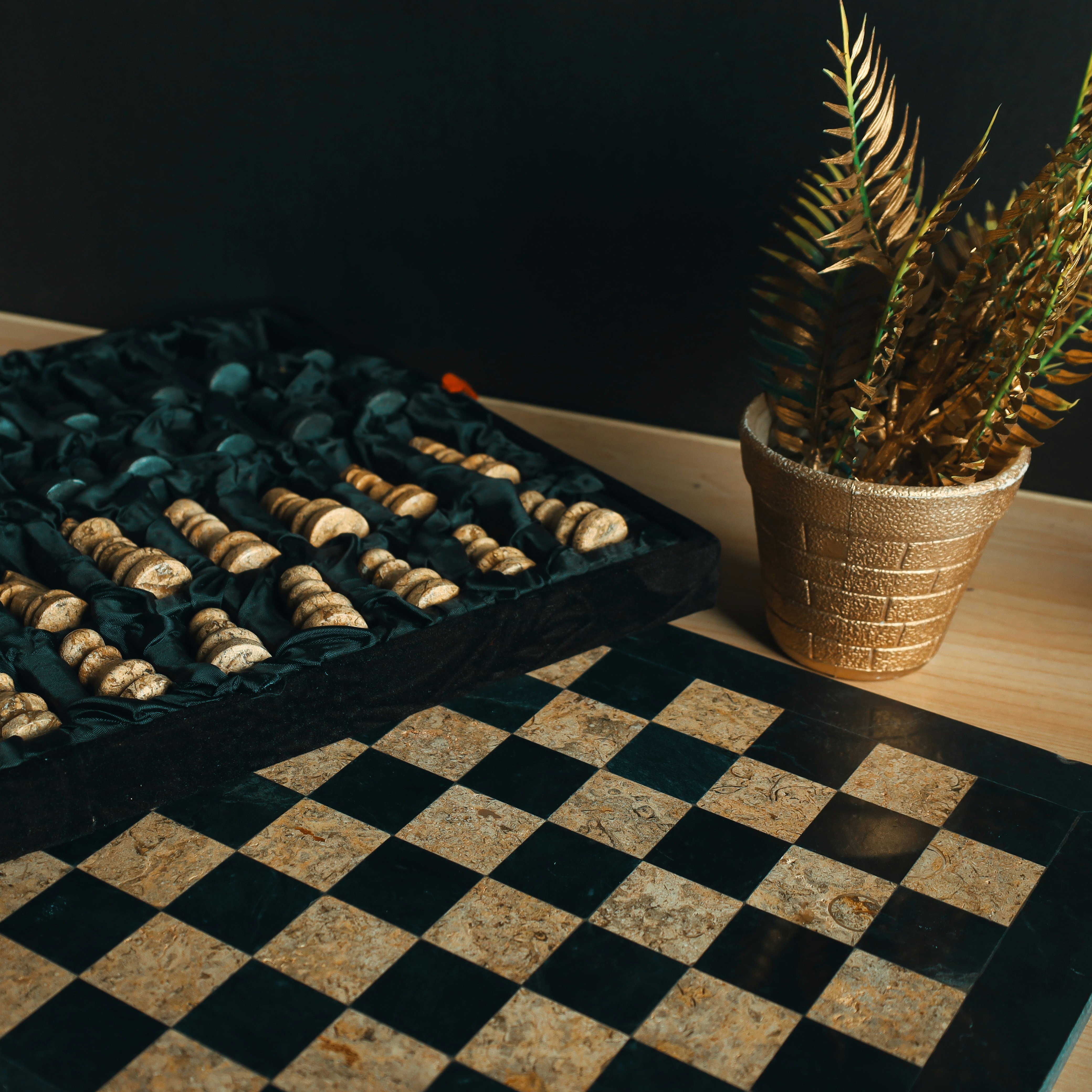 Chess a classic game, beautifully photographed | A chess set with a decorative plant.