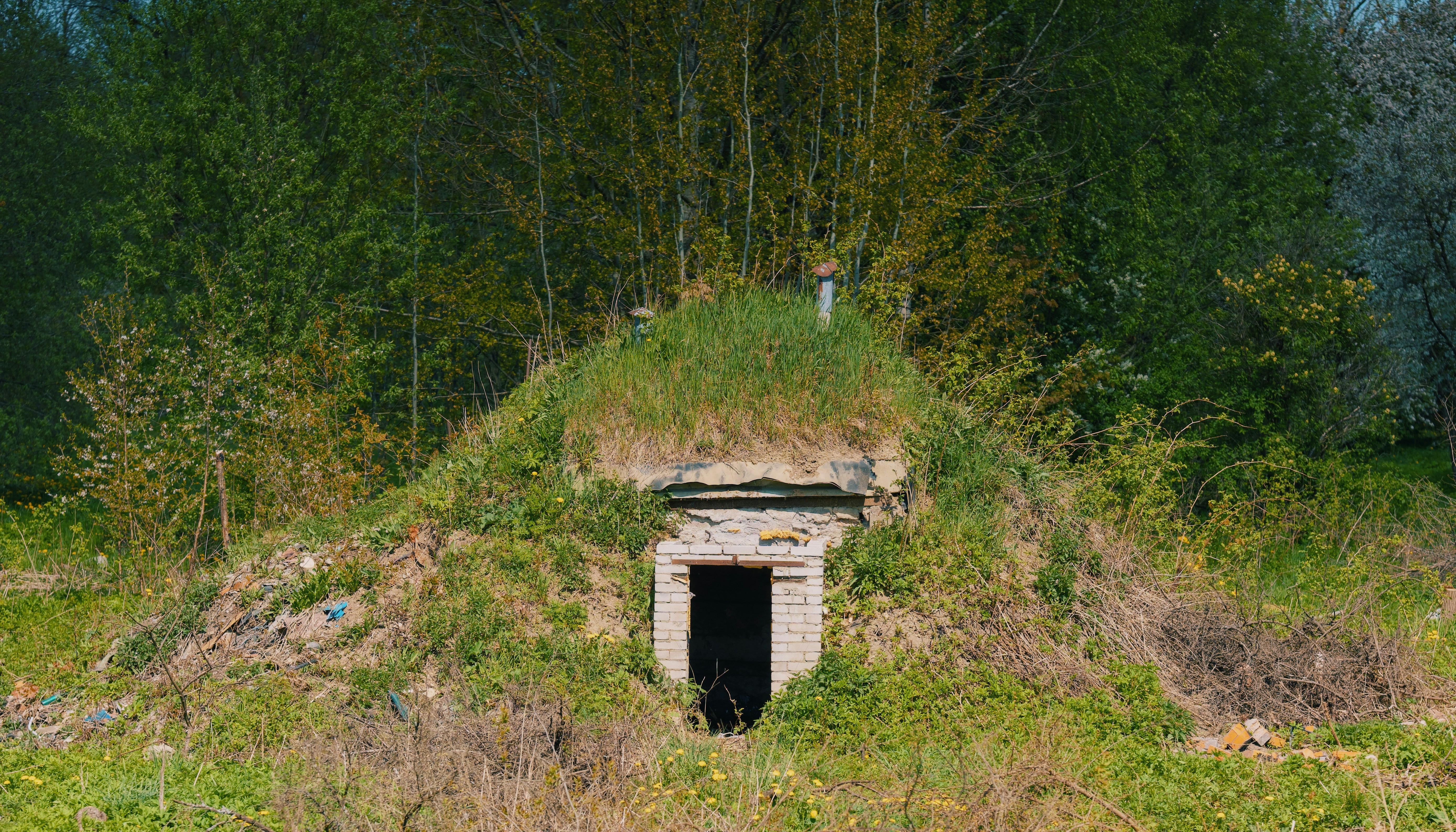 A hobbit-like dwelling covered with grass.