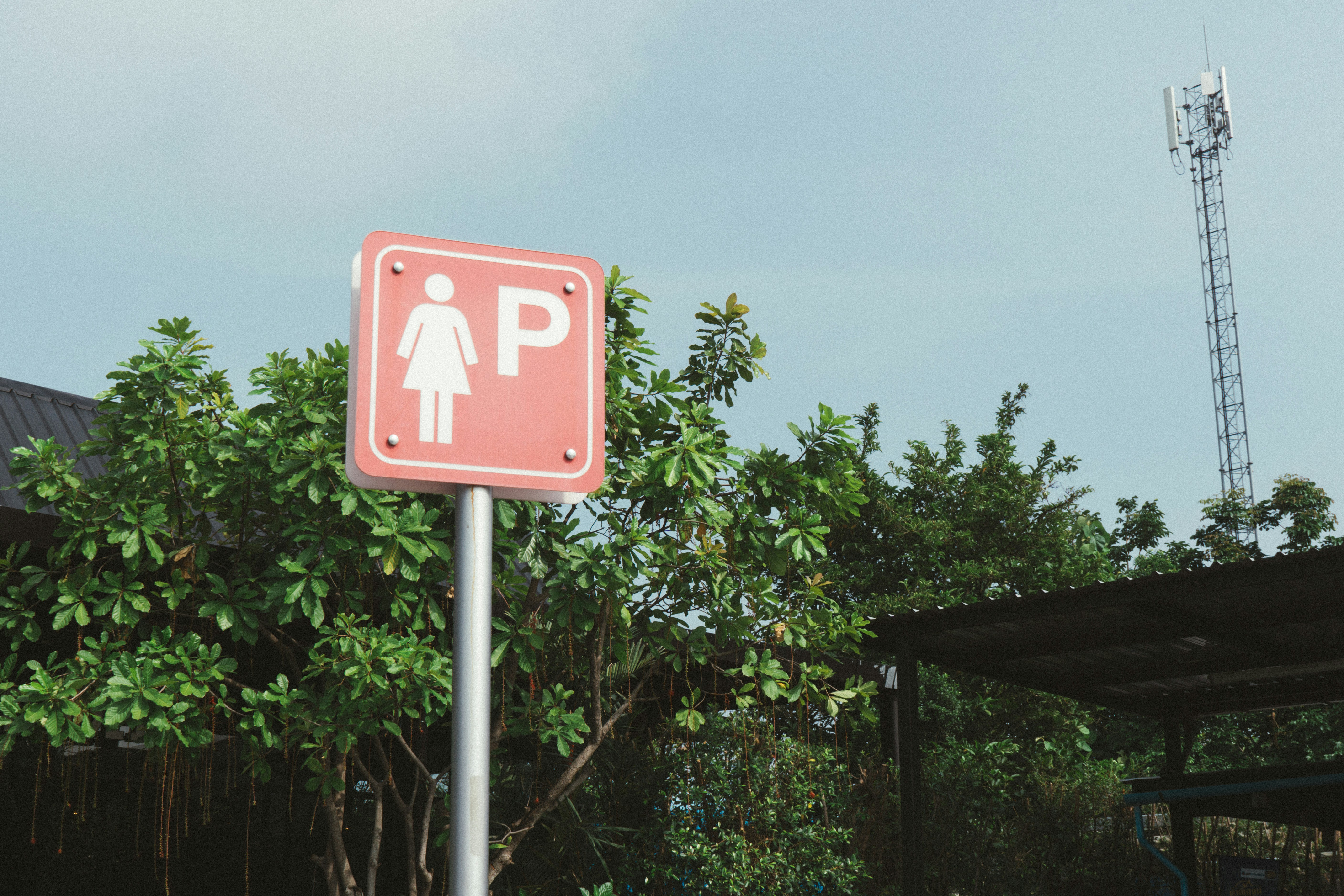 Photo by Honney Artkongharn with Sony Alpha 6000