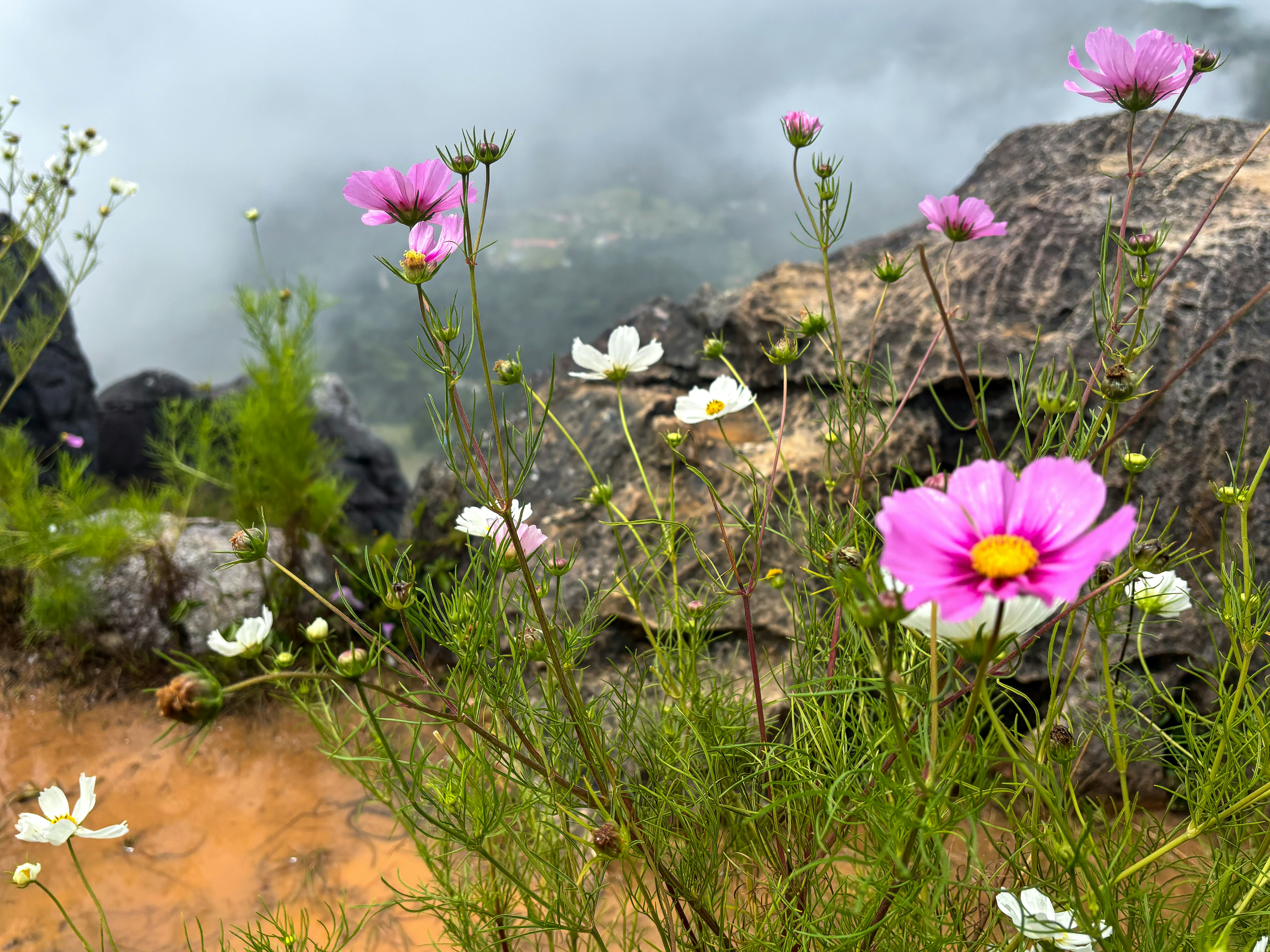 Photo by Jaime Gusmao with Apple iPhone 15 Plus