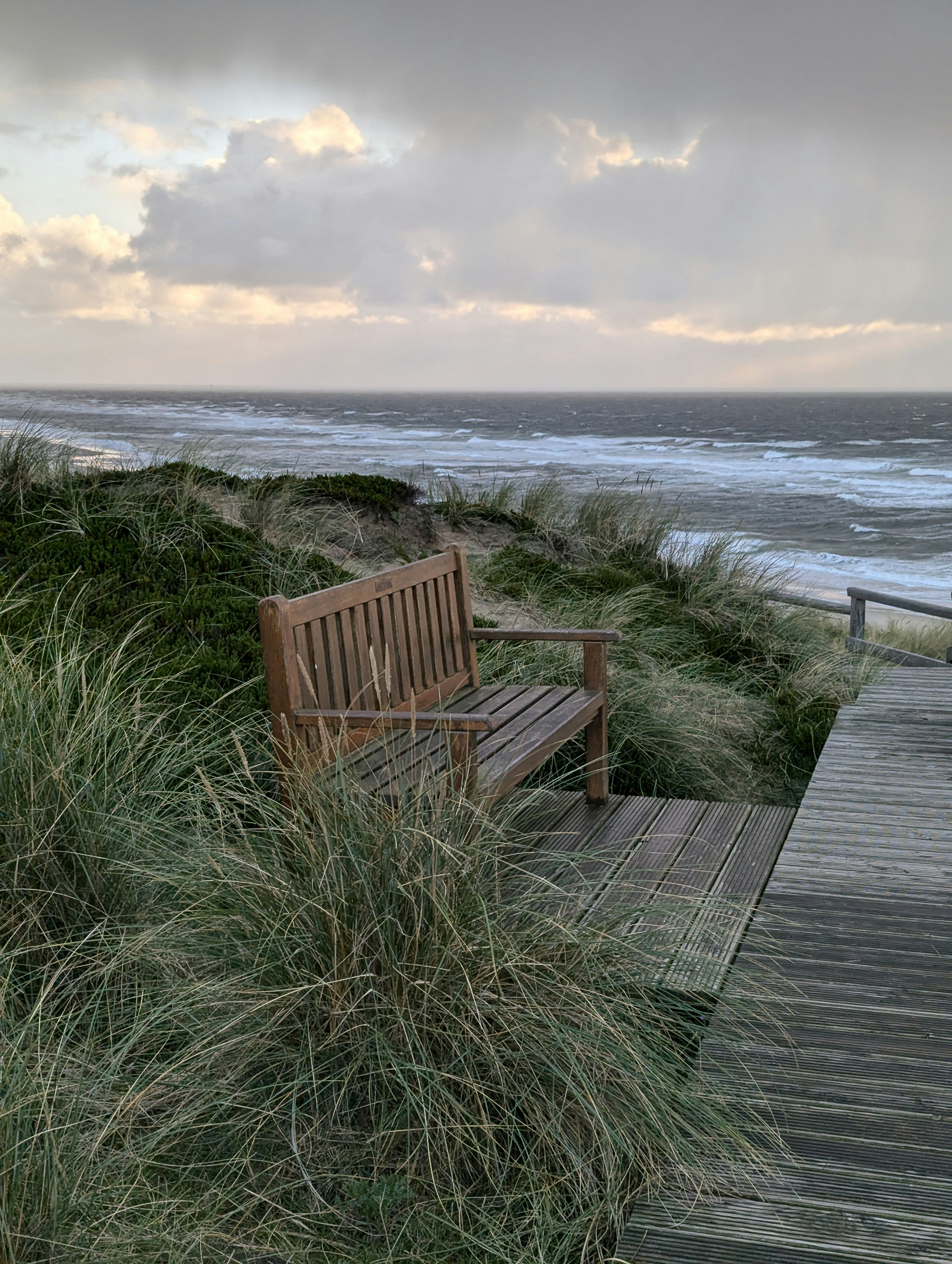 Seaside Bench Framed by Dune Grass Under Whispering Clouds