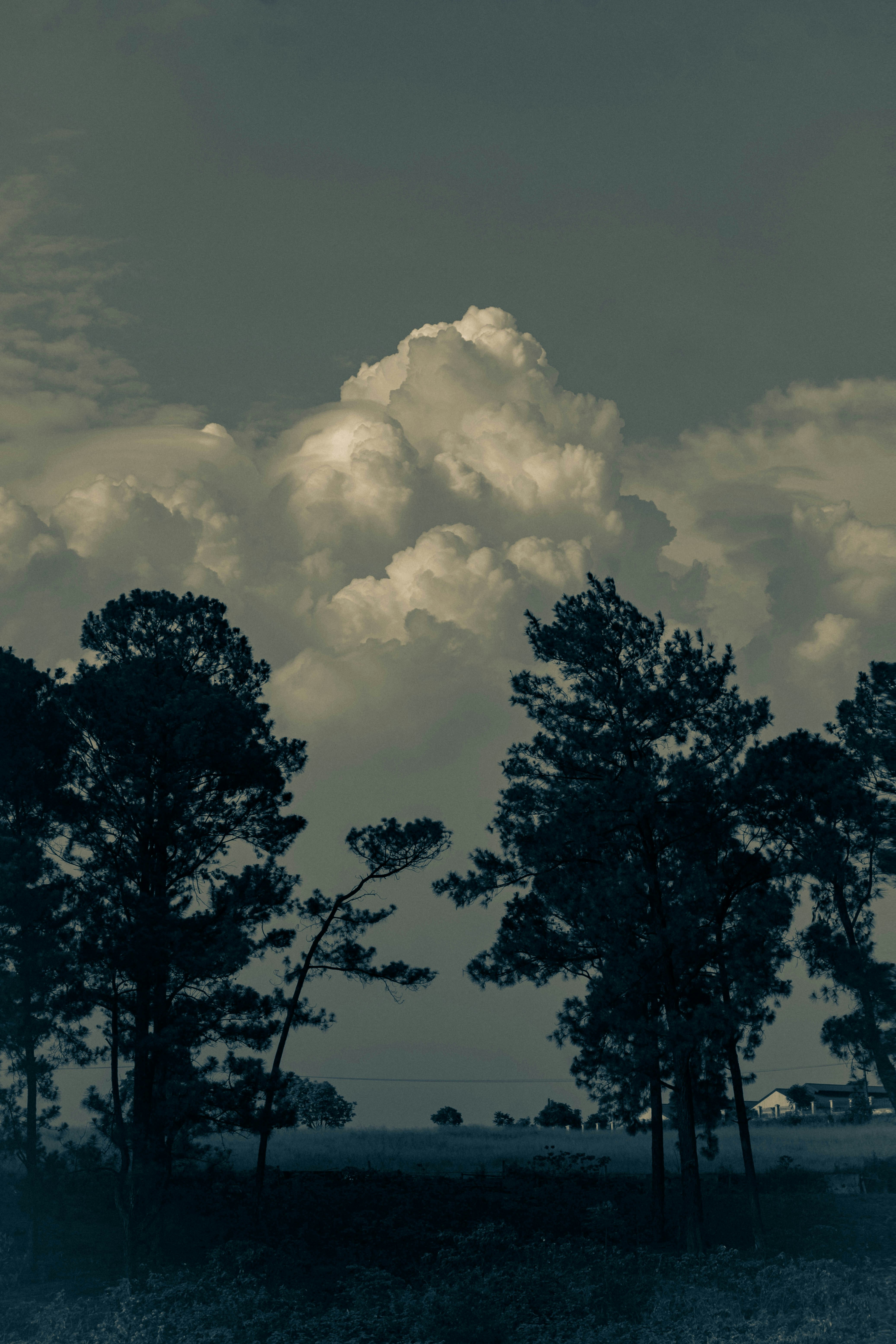 Photo by Nguyễn Hiệp with Fujifilm X-T3