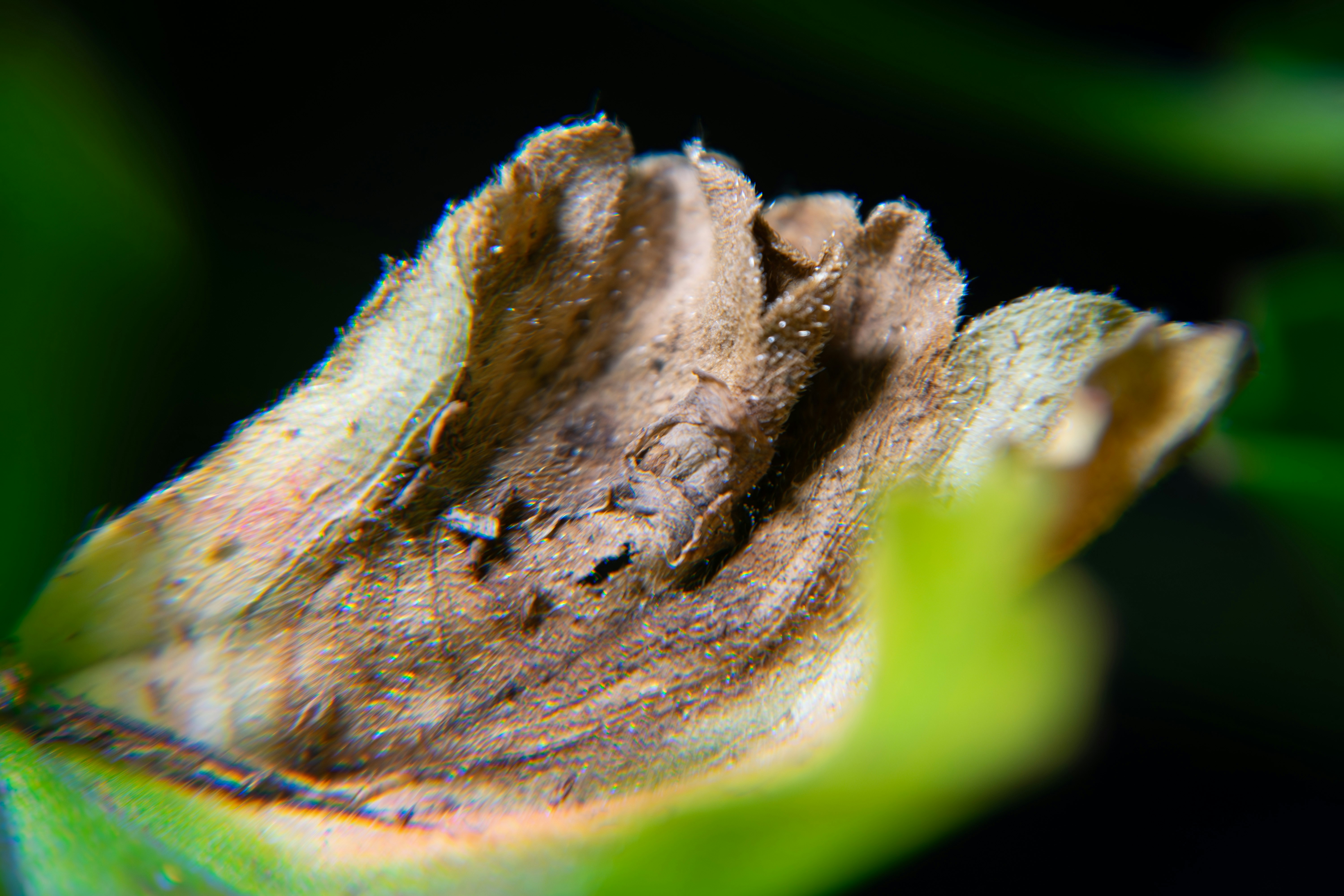 Katelin Brown (@okatelin) | Unsplash Photo Community