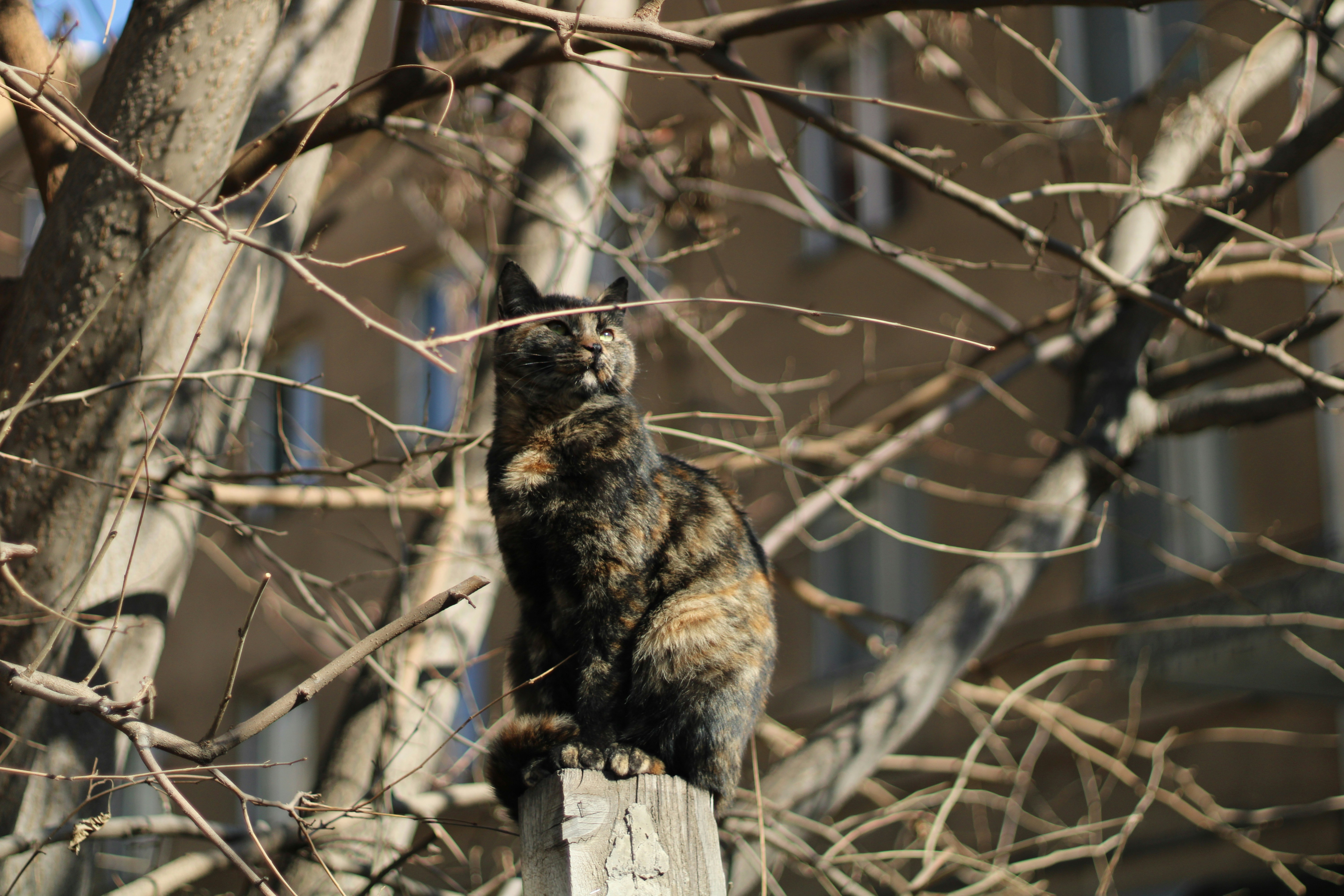 Photo by Vita Markova with Canon EOS 2000D