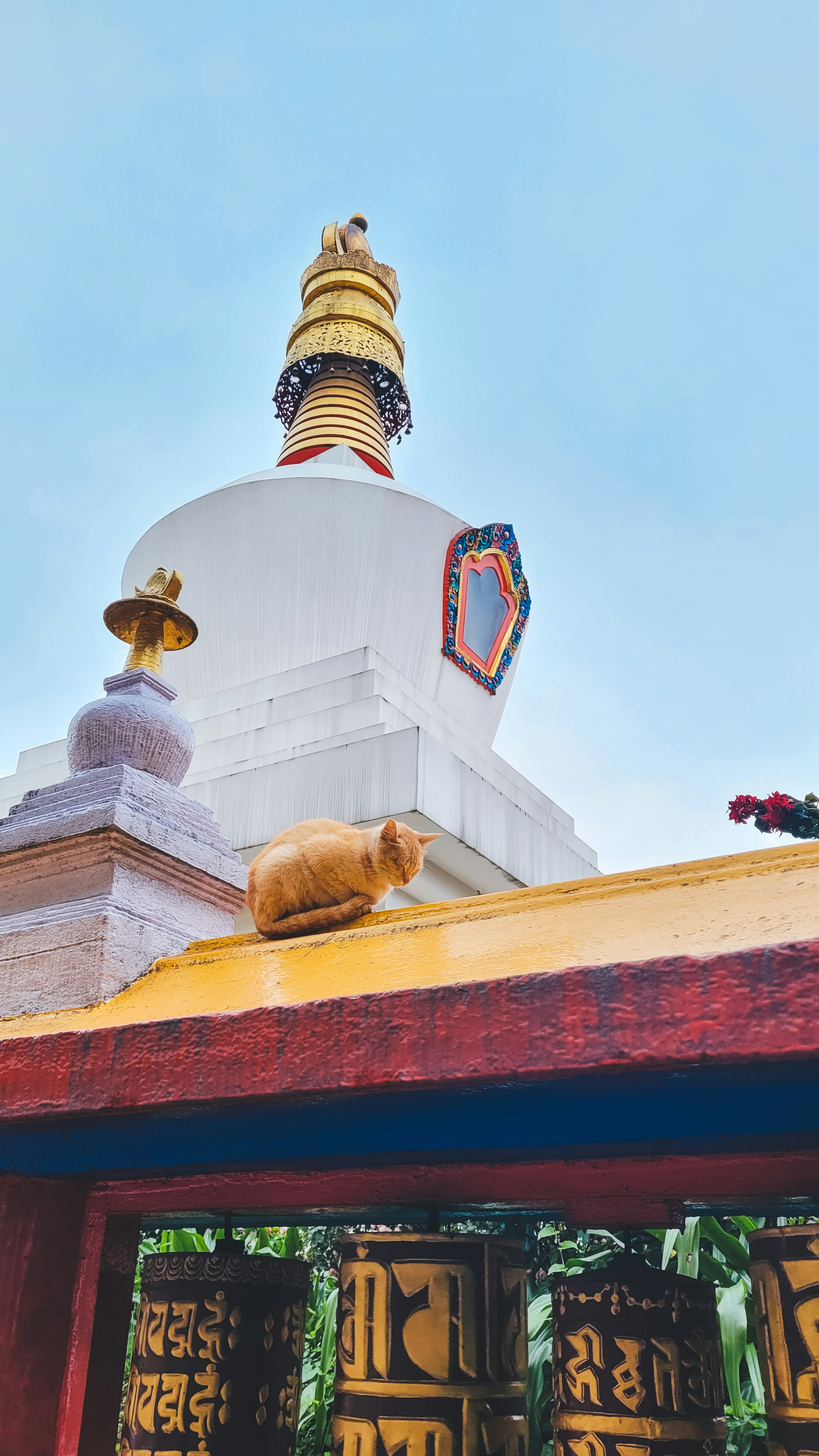 Serene Moment at the Stupa