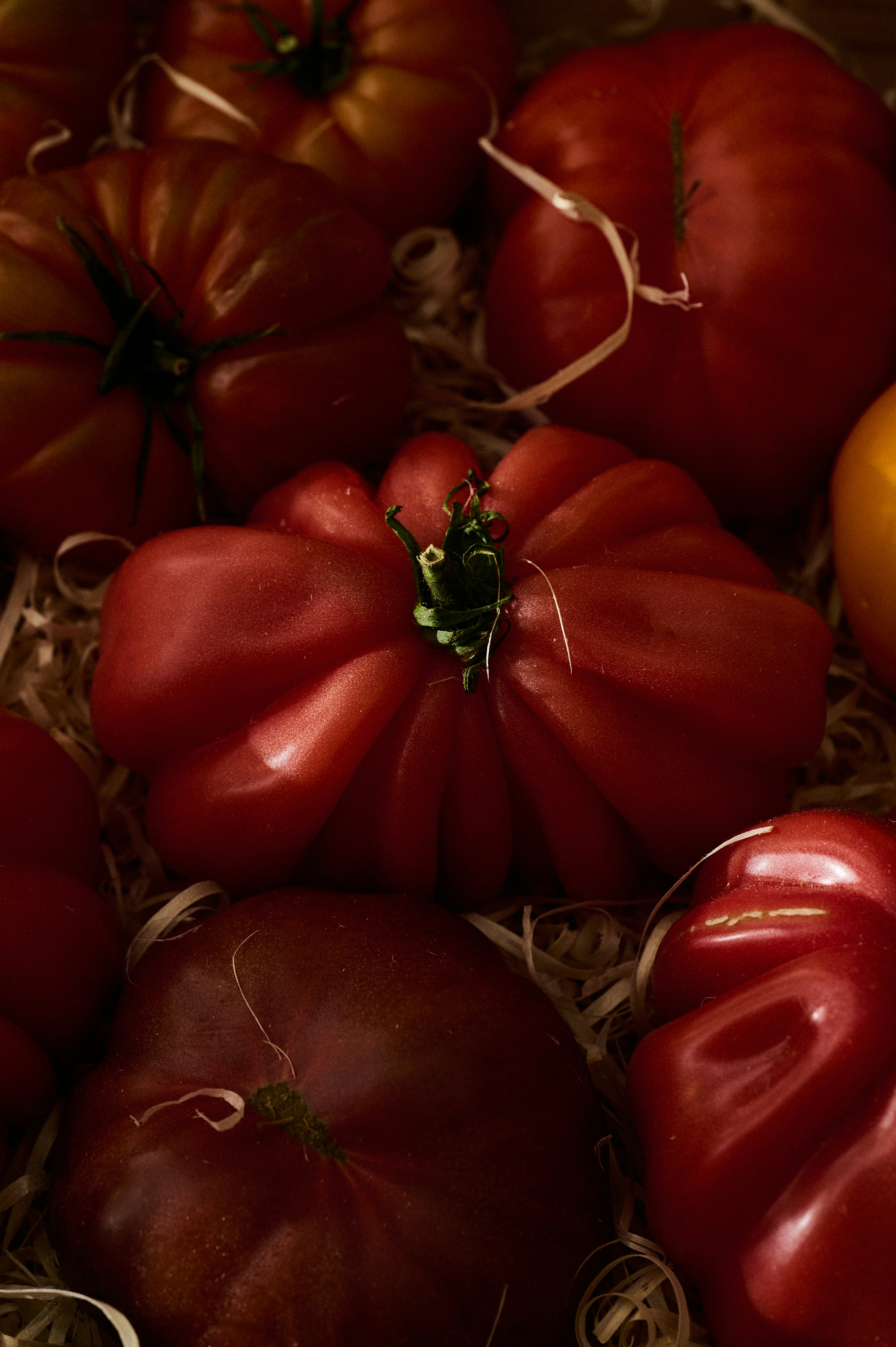 Crimson Globes in Strawlight: A Quiet Tomato Still-Life