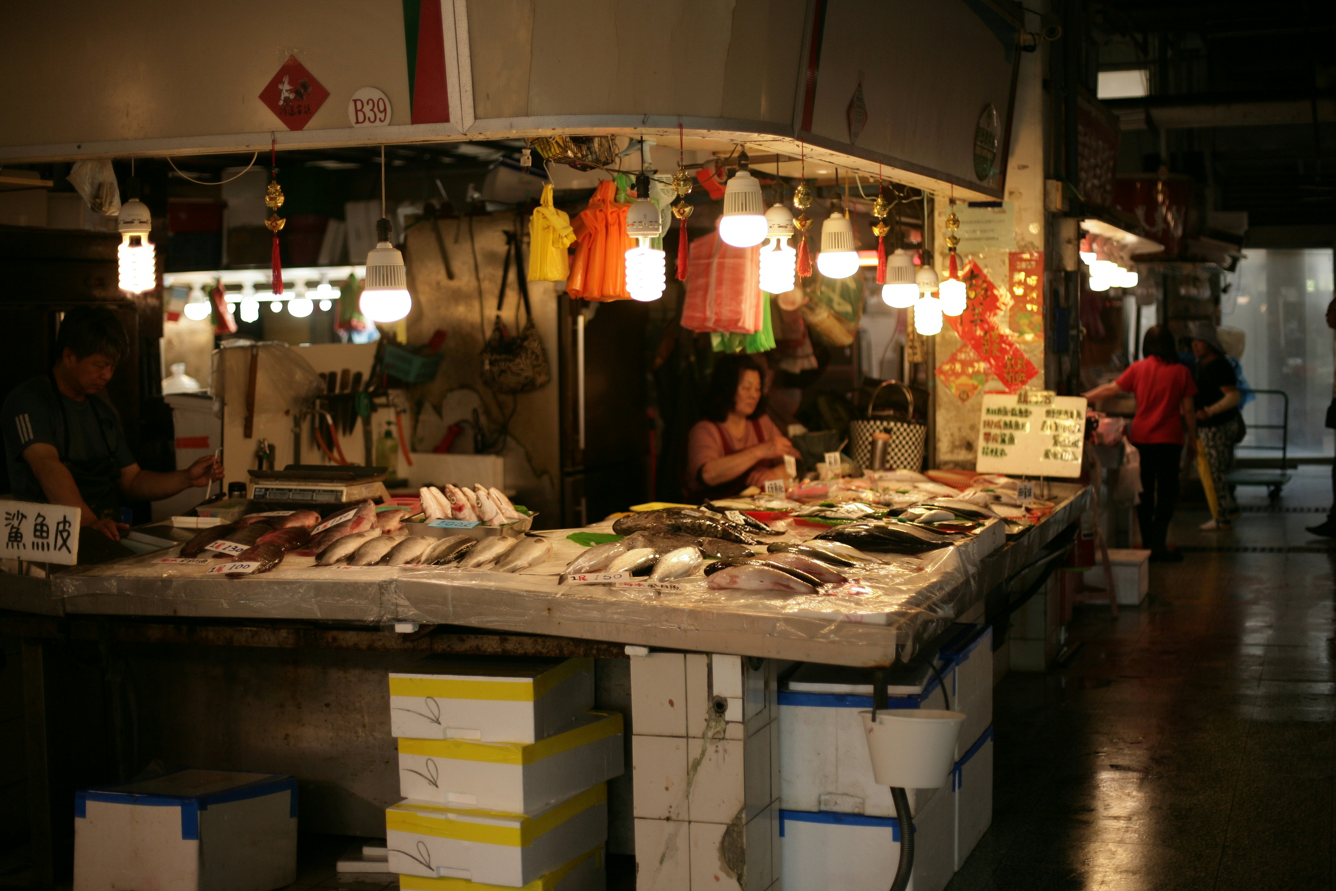 A busy fish market is displaying its fresh goods. photo – Free Food ...