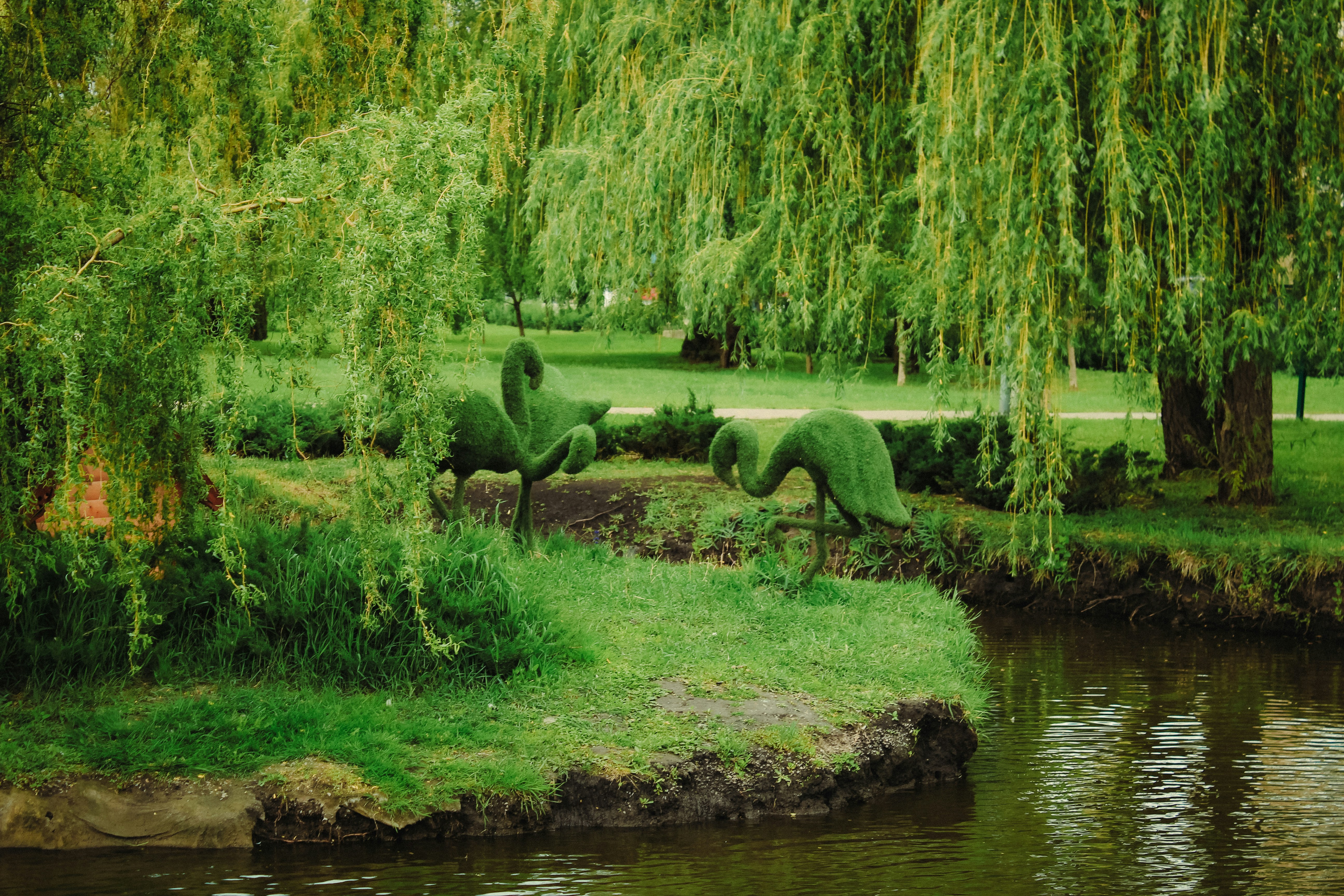 Verdant Topiary Swans by a Willow-Framed Pond