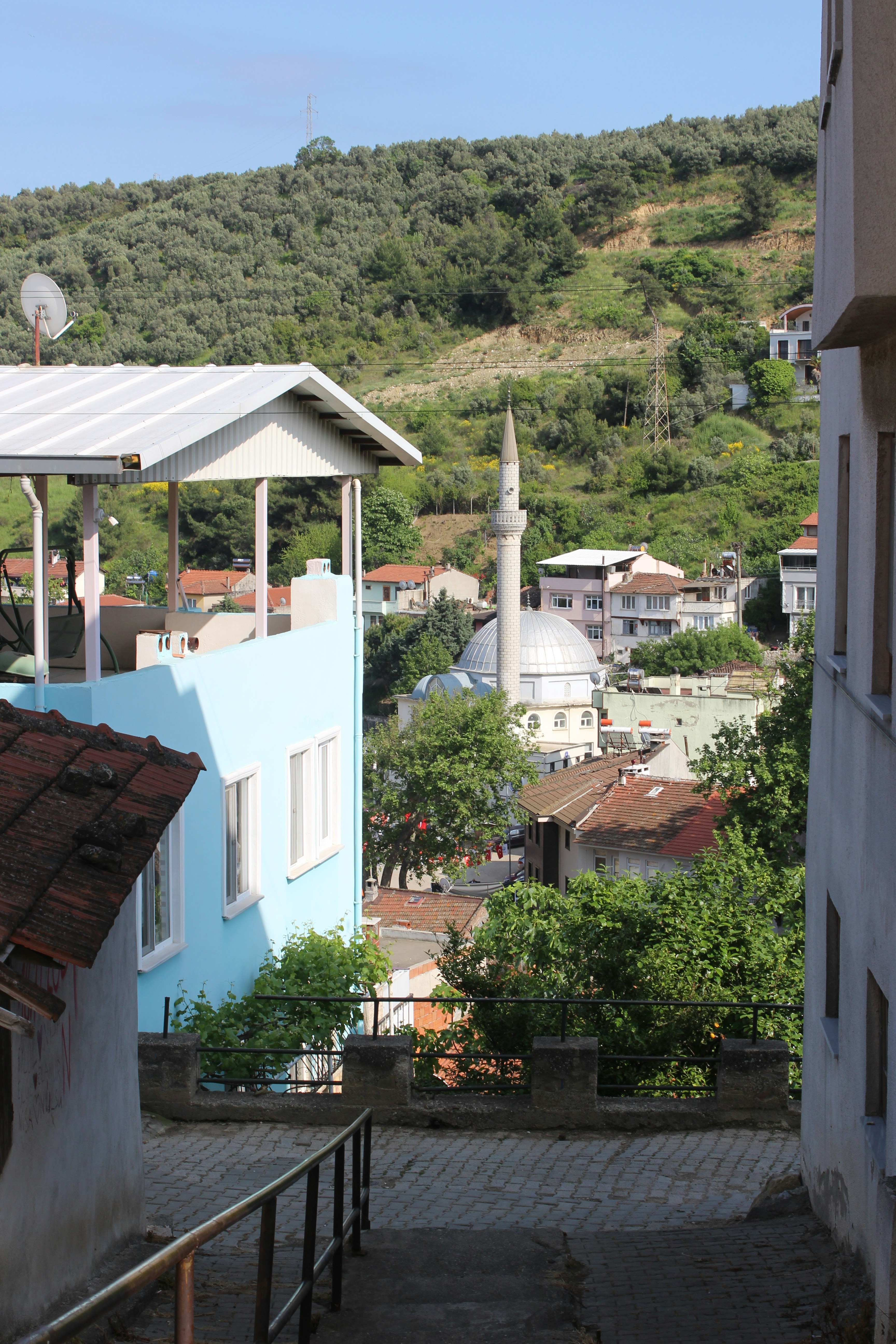 Serenity in the Hills: A Glimpse of Daily Life