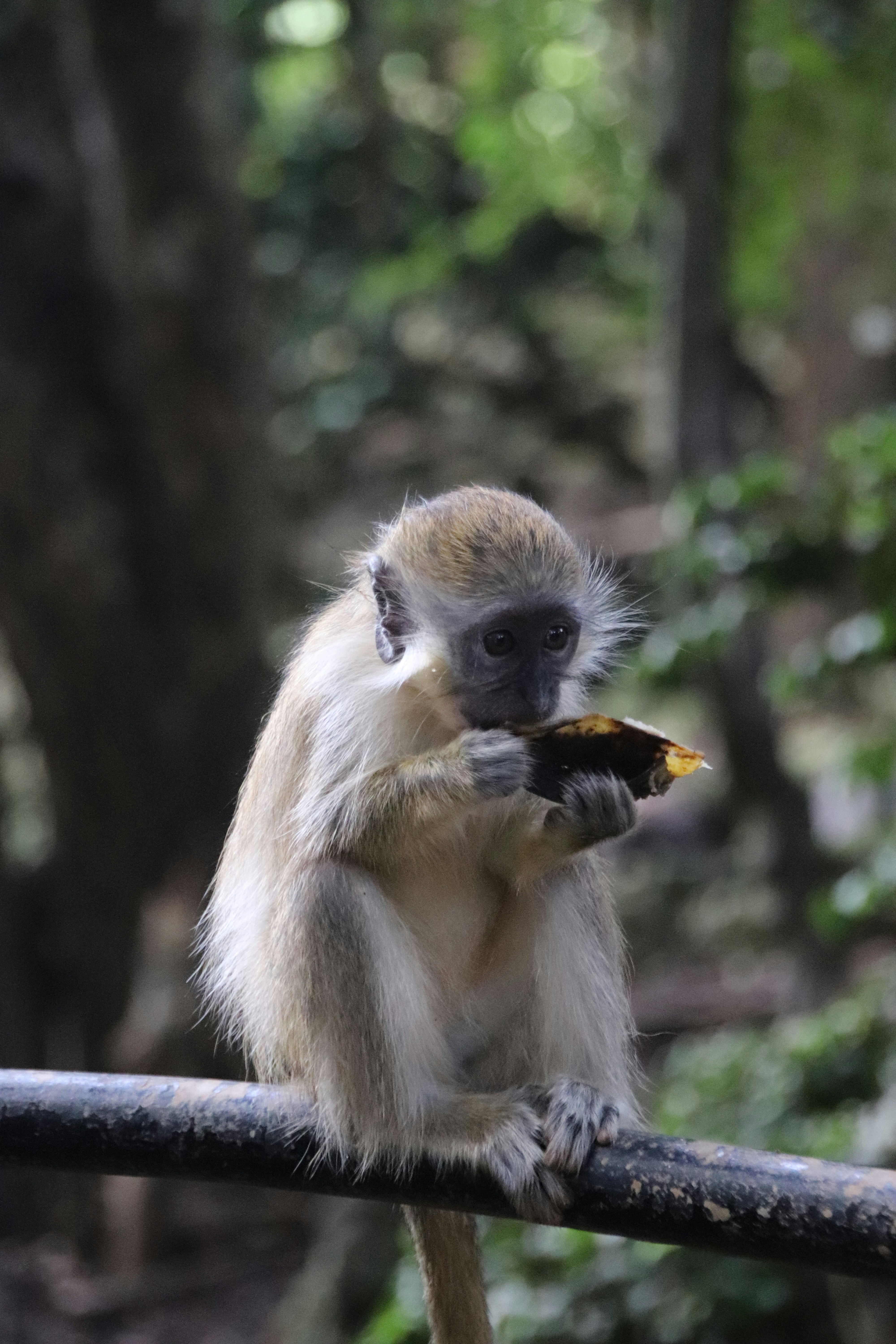 Photo by Tanya Barrow with Canon EOS 77D