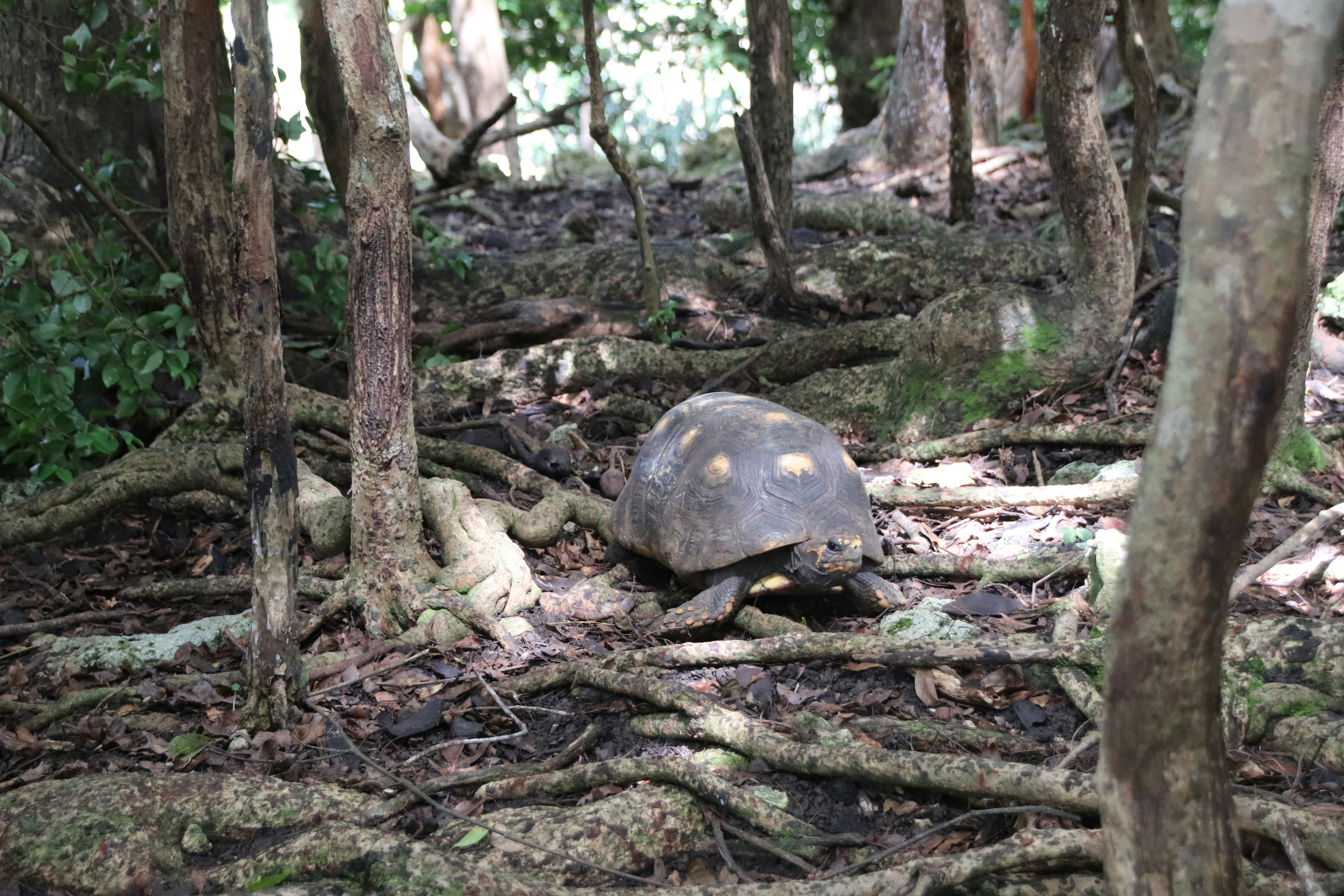 Photo by Tanya Barrow with Canon EOS 77D