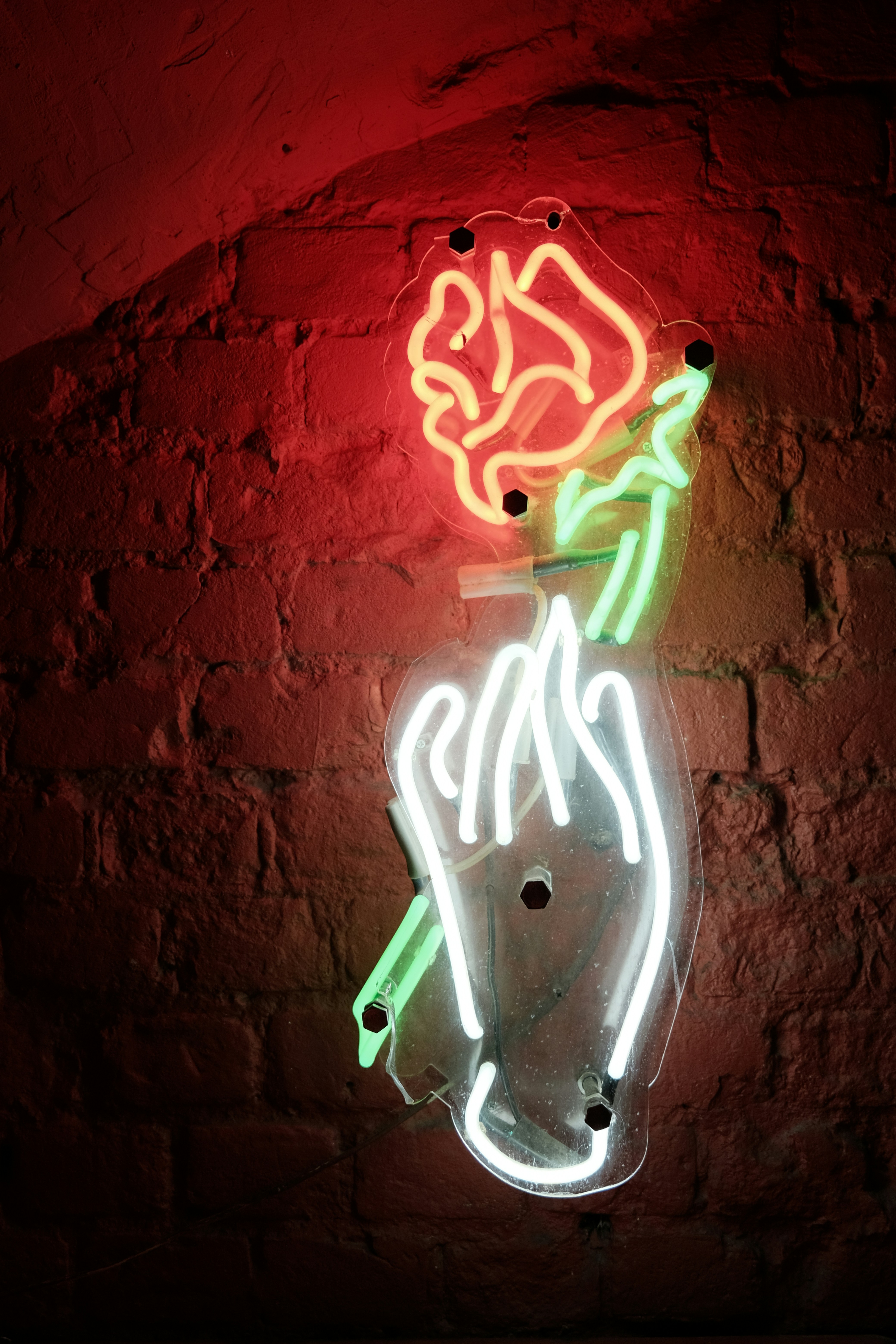 Crimson Neon Rose: Night Glow on Brick Wall