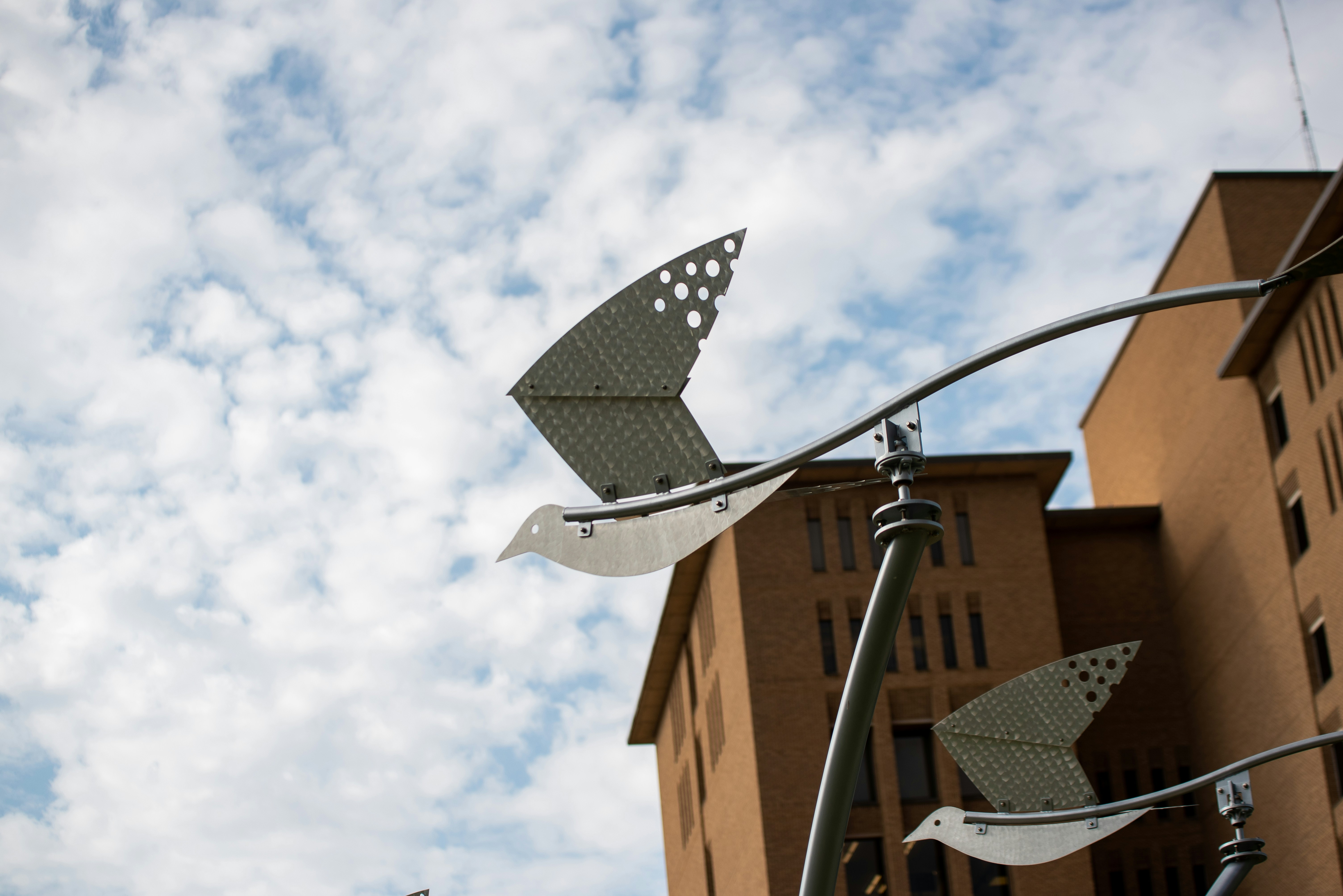 Sculpted Wind in an Urban Sky