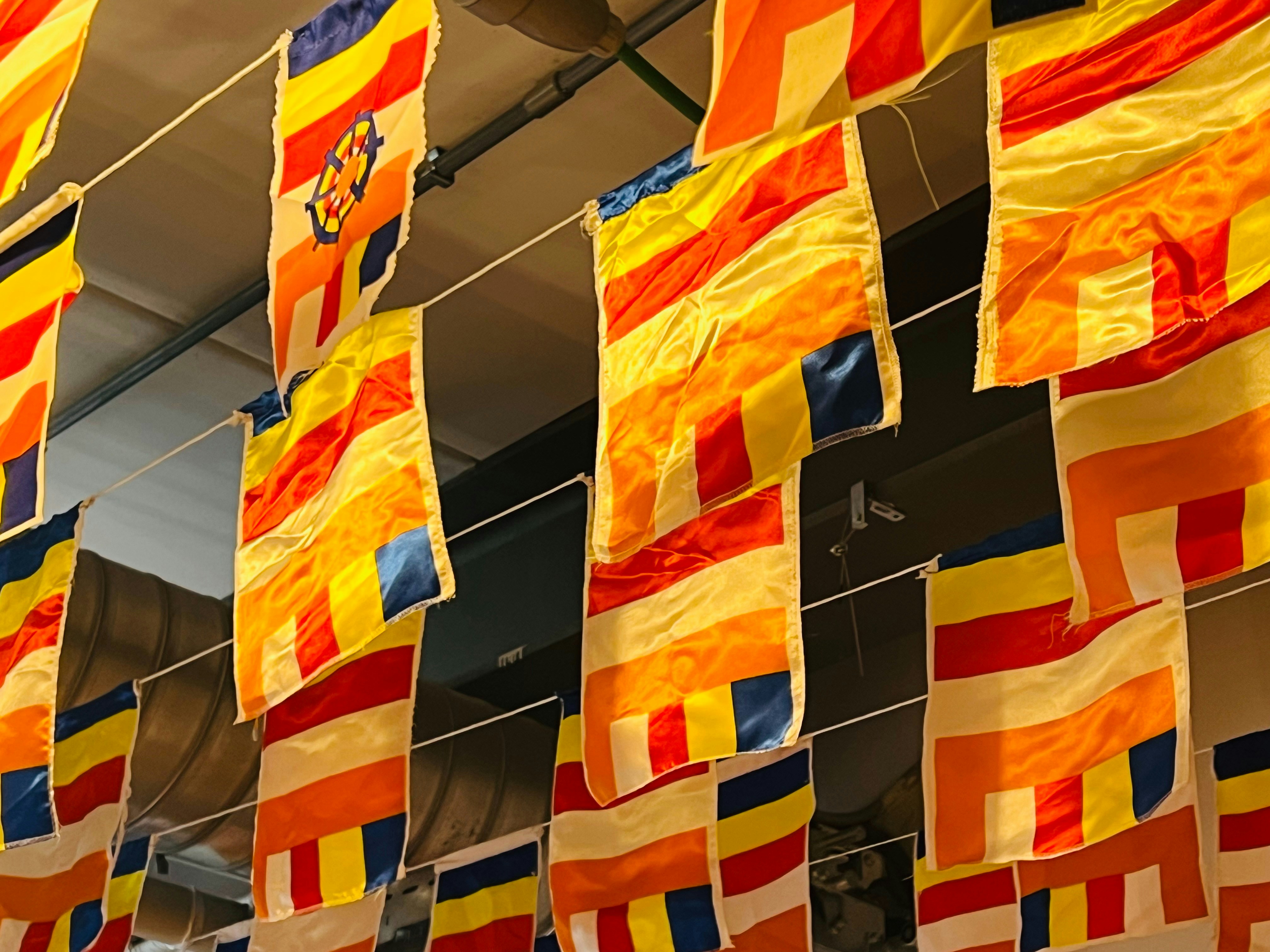 Photo by Paolo Chiabrando with Apple iPhone 13 Pro