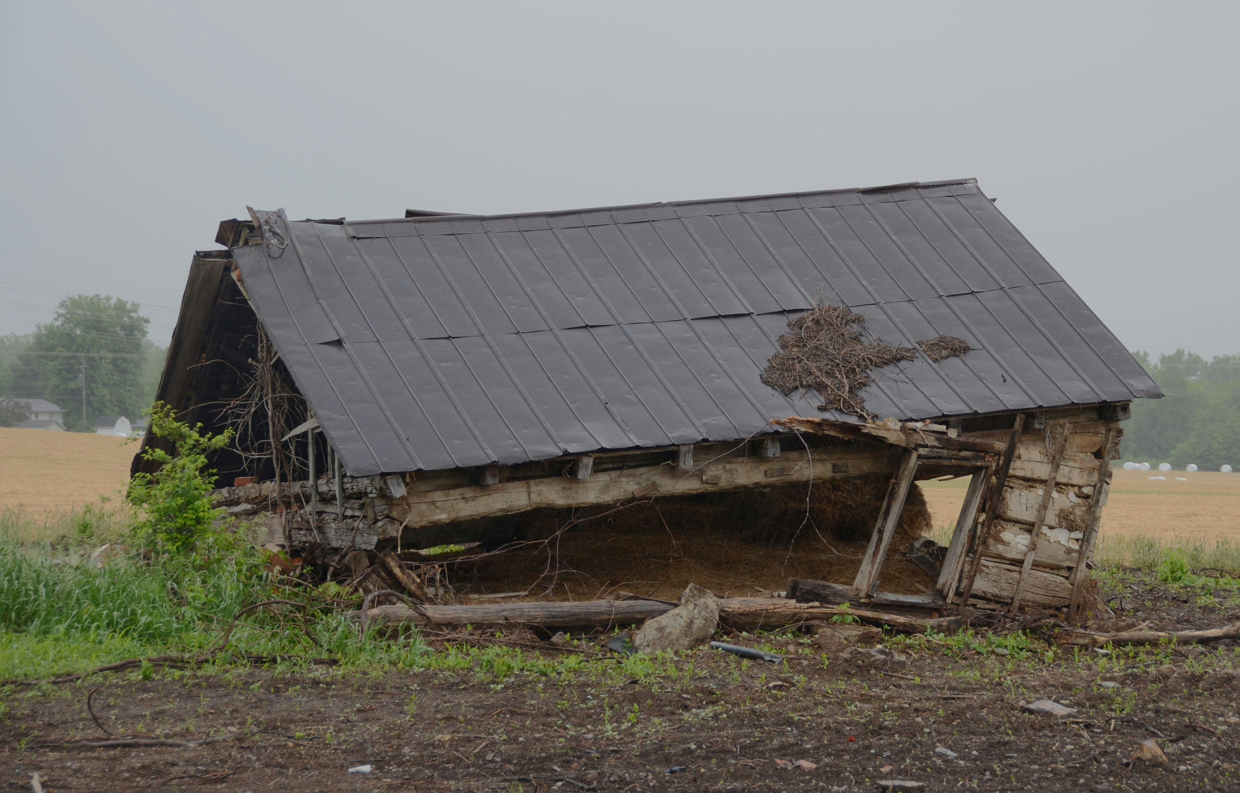 Dilapidated wooden shed shows signs of damage and decay. photo – Free ...