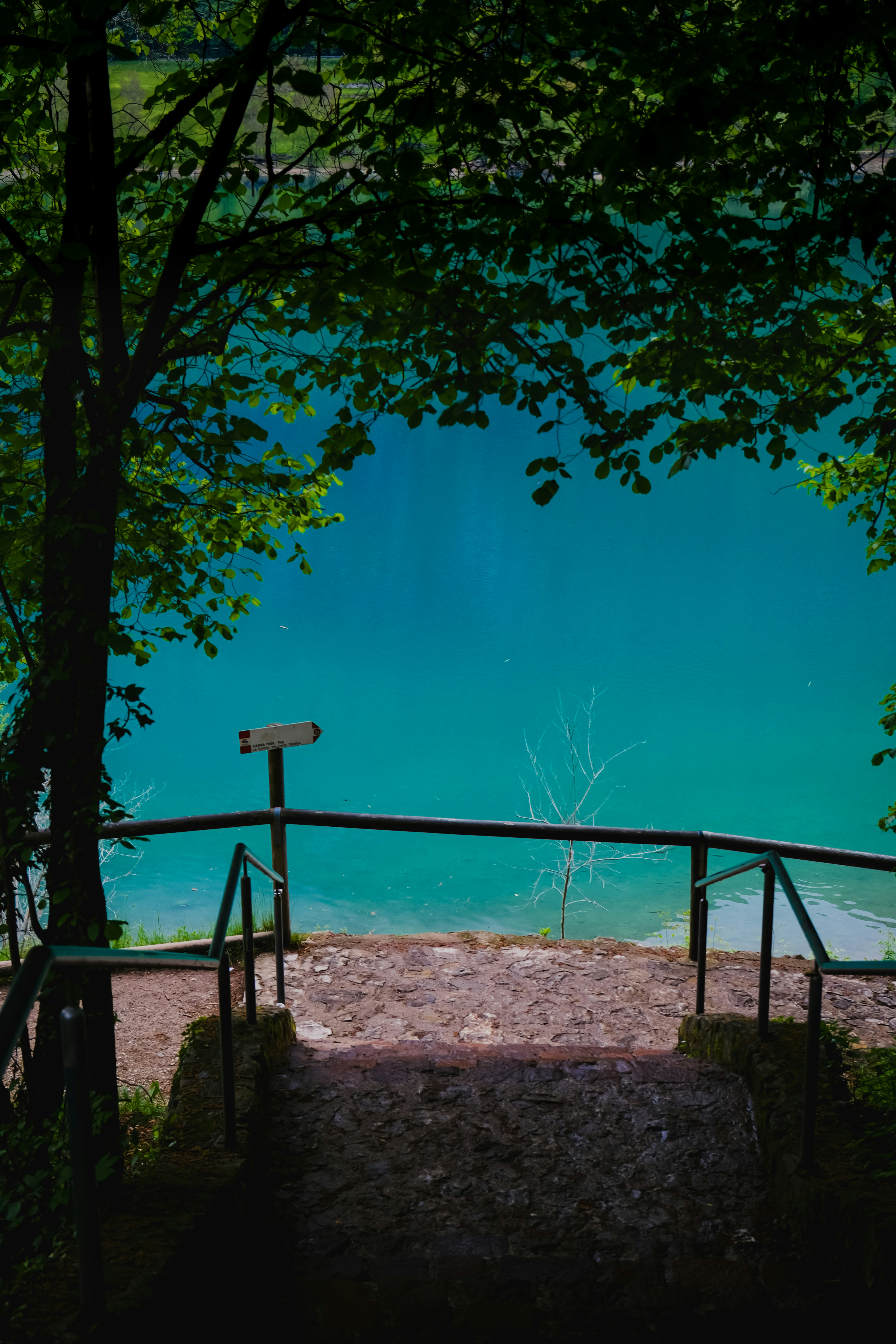 Serenity at the Water's Edge