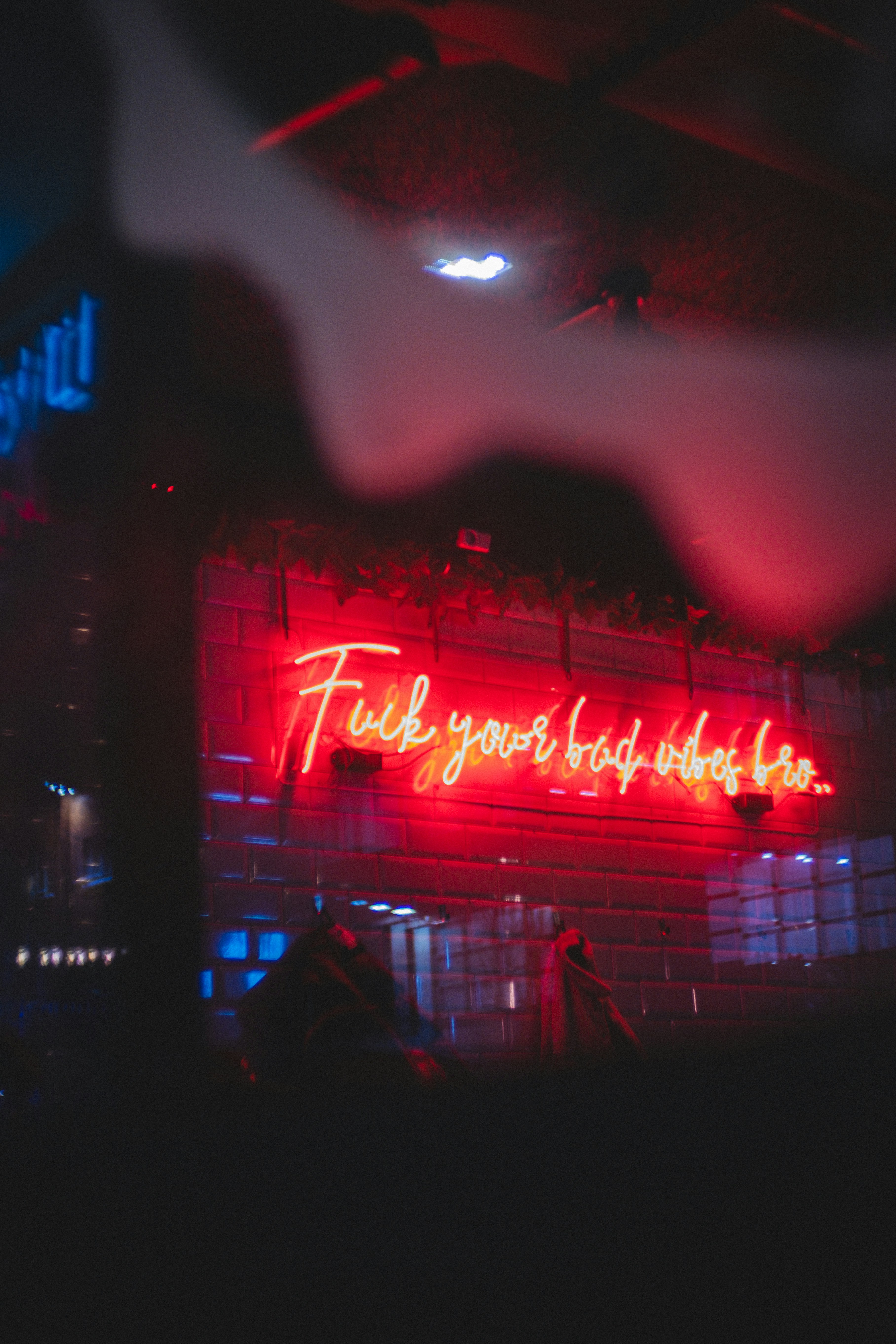 Neon sign with a profane, red-lighted message. photo – Free Woman Image ...
