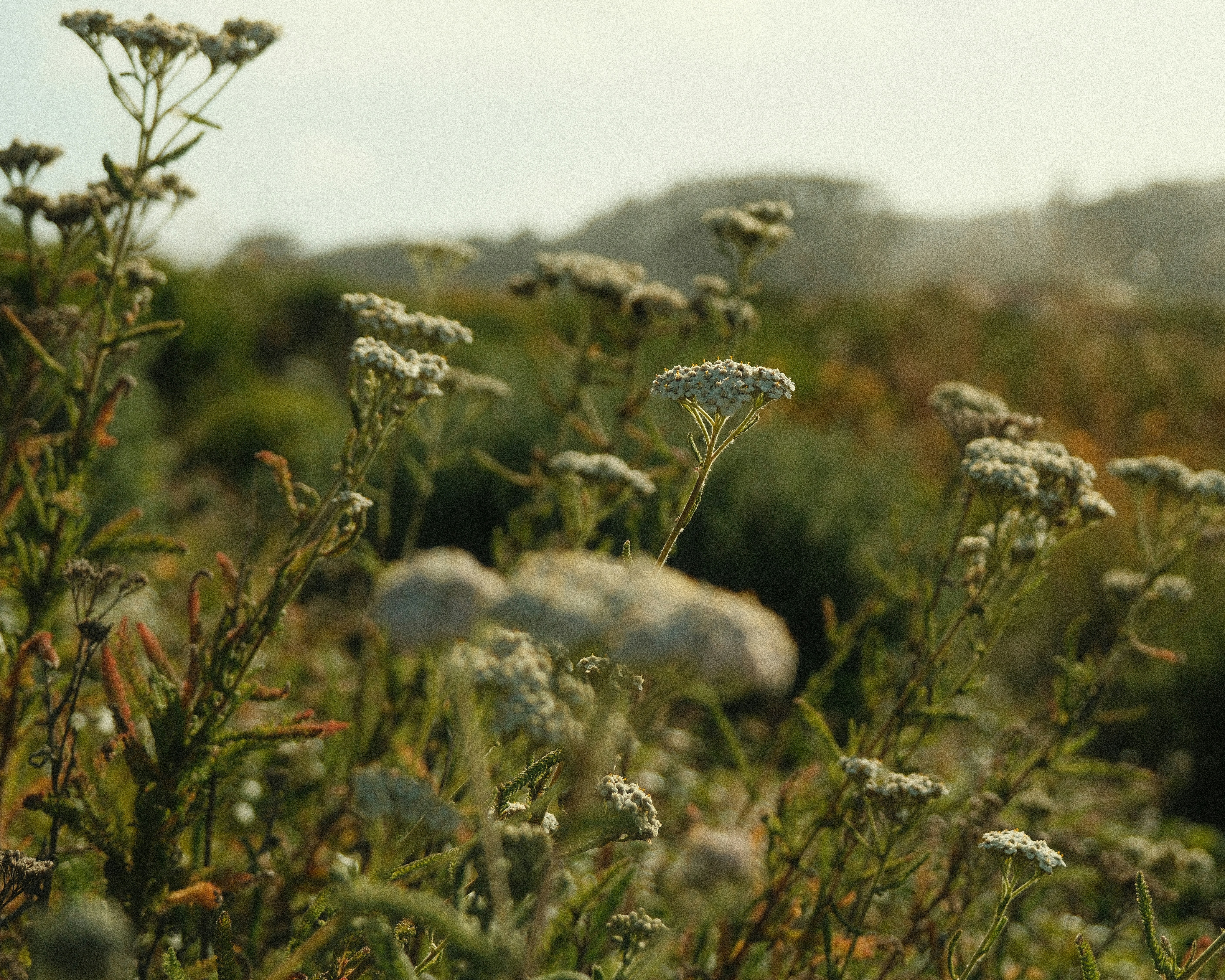 Kellen Riggin (@kalaniparker) | Unsplash Photo Community
