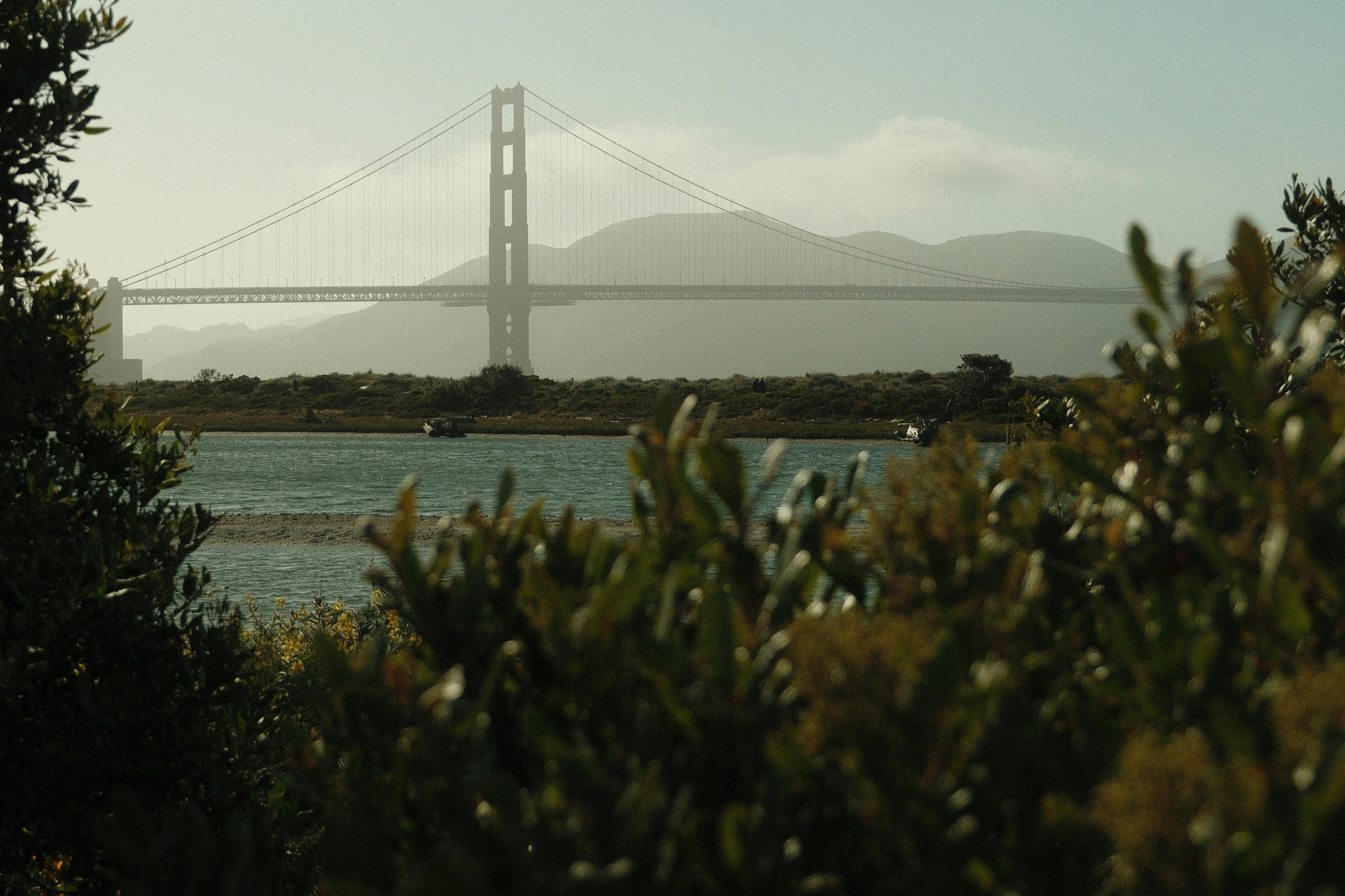 A distant bridge stands majestically against a hazy backdrop, framed by lush greenery in the foreground. The tranquil waters reflect the soft light of the day.