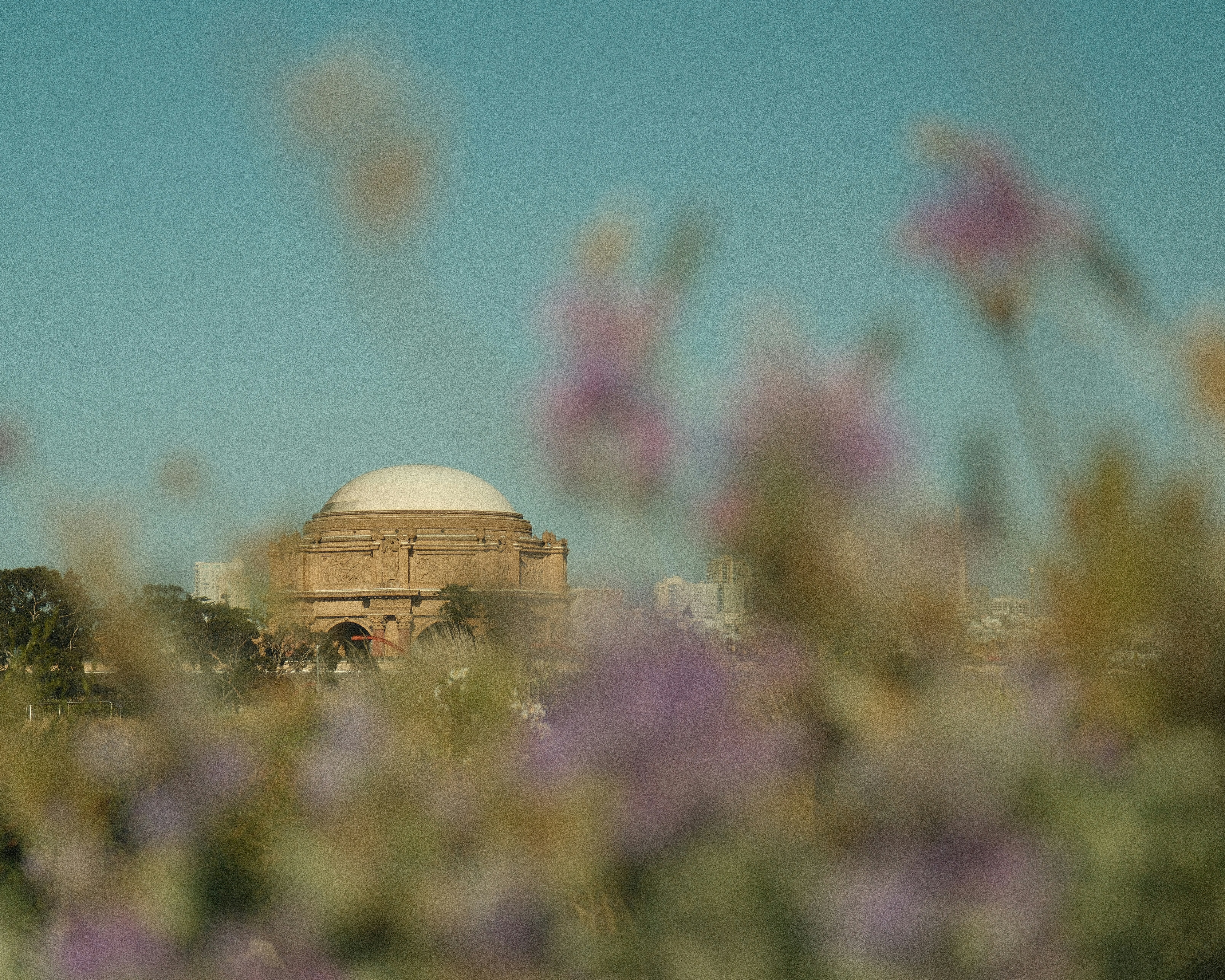 Kellen Riggin (@kalaniparker) | Unsplash Photo Community