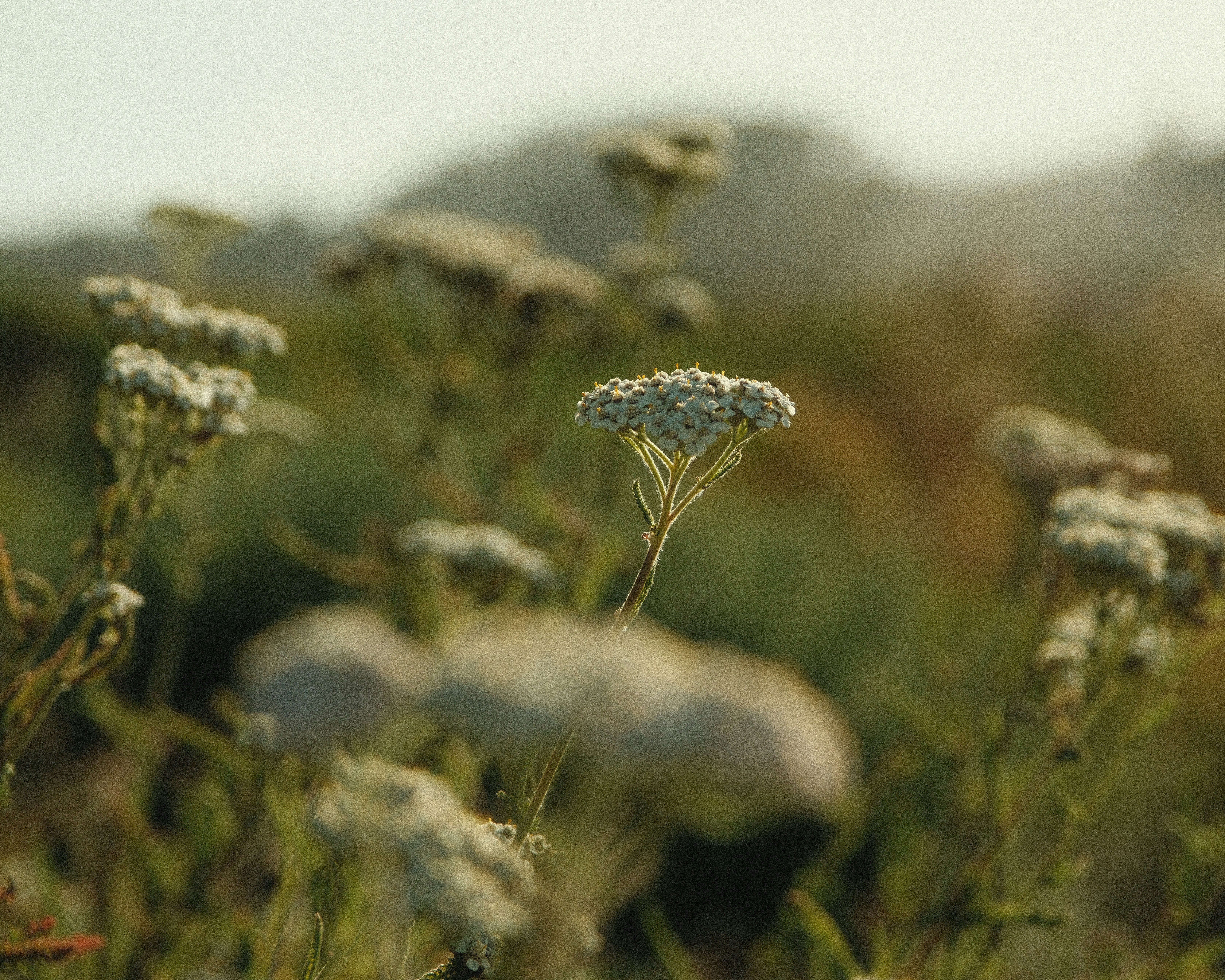 Kellen Riggin (@kalaniparker) | Unsplash Photo Community