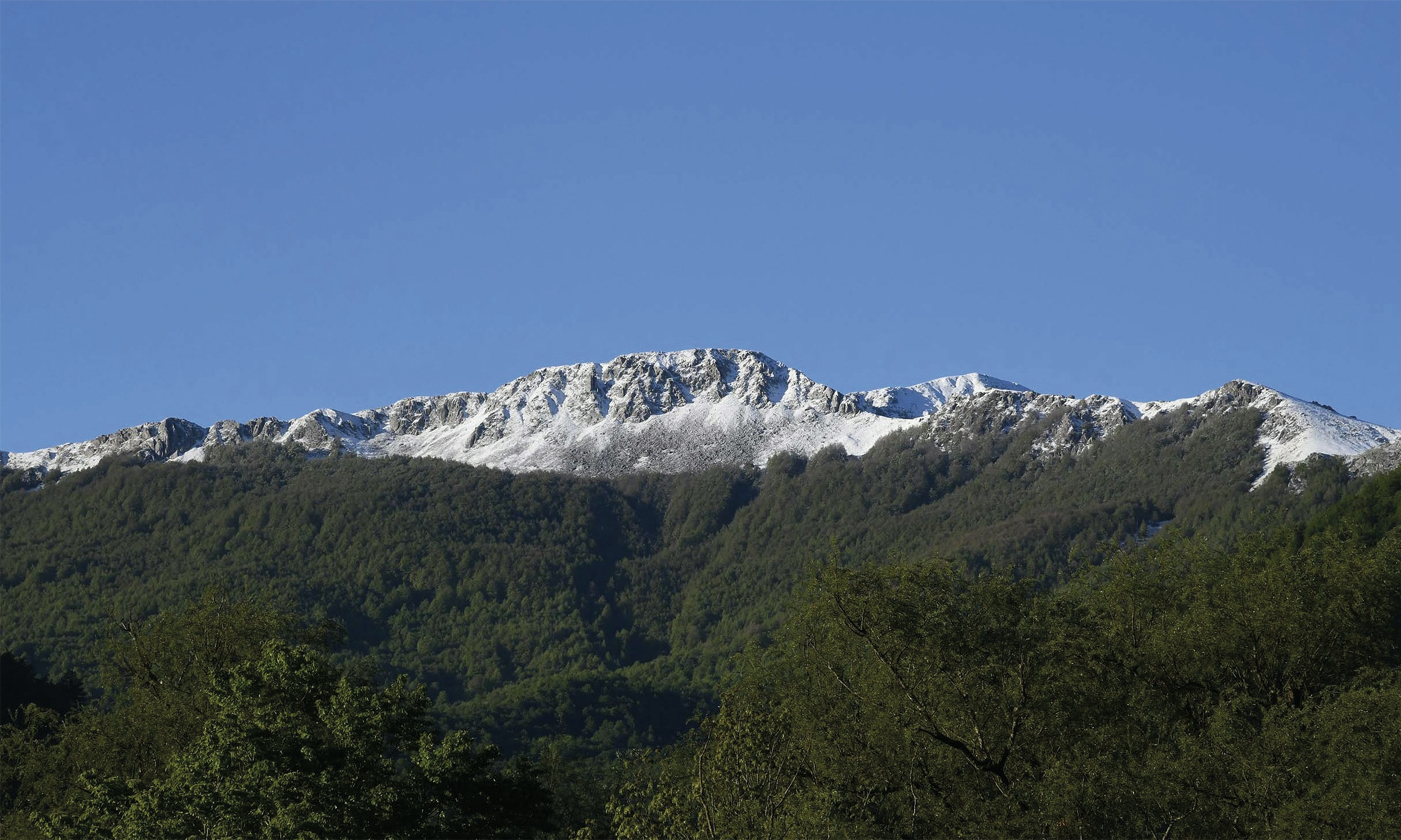 Snow-capped mountains rise above a forest. photo – Free Scenery Image ...