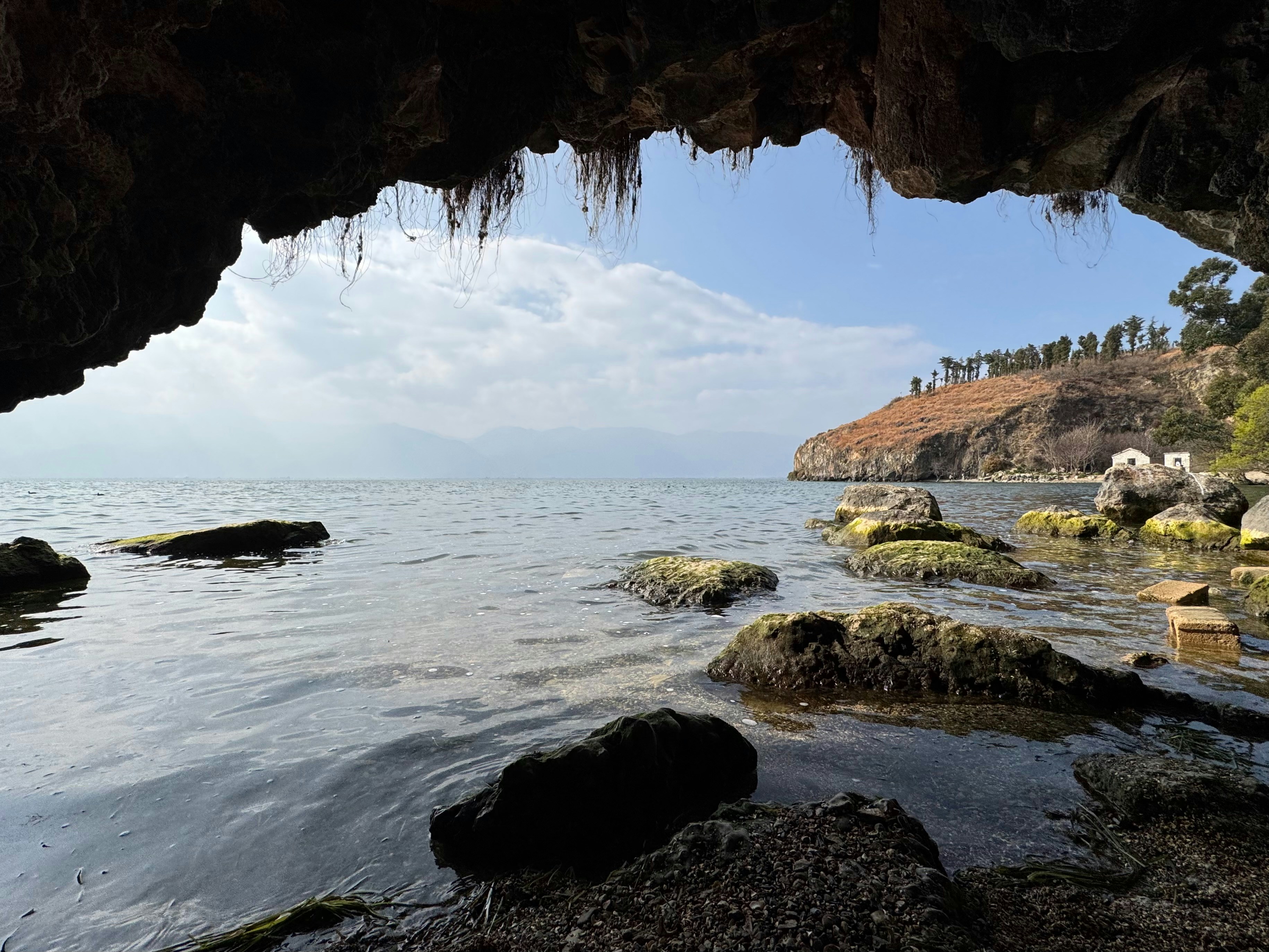 YANG YANG (@cest_yangyang) | Unsplash 사진 커뮤니티