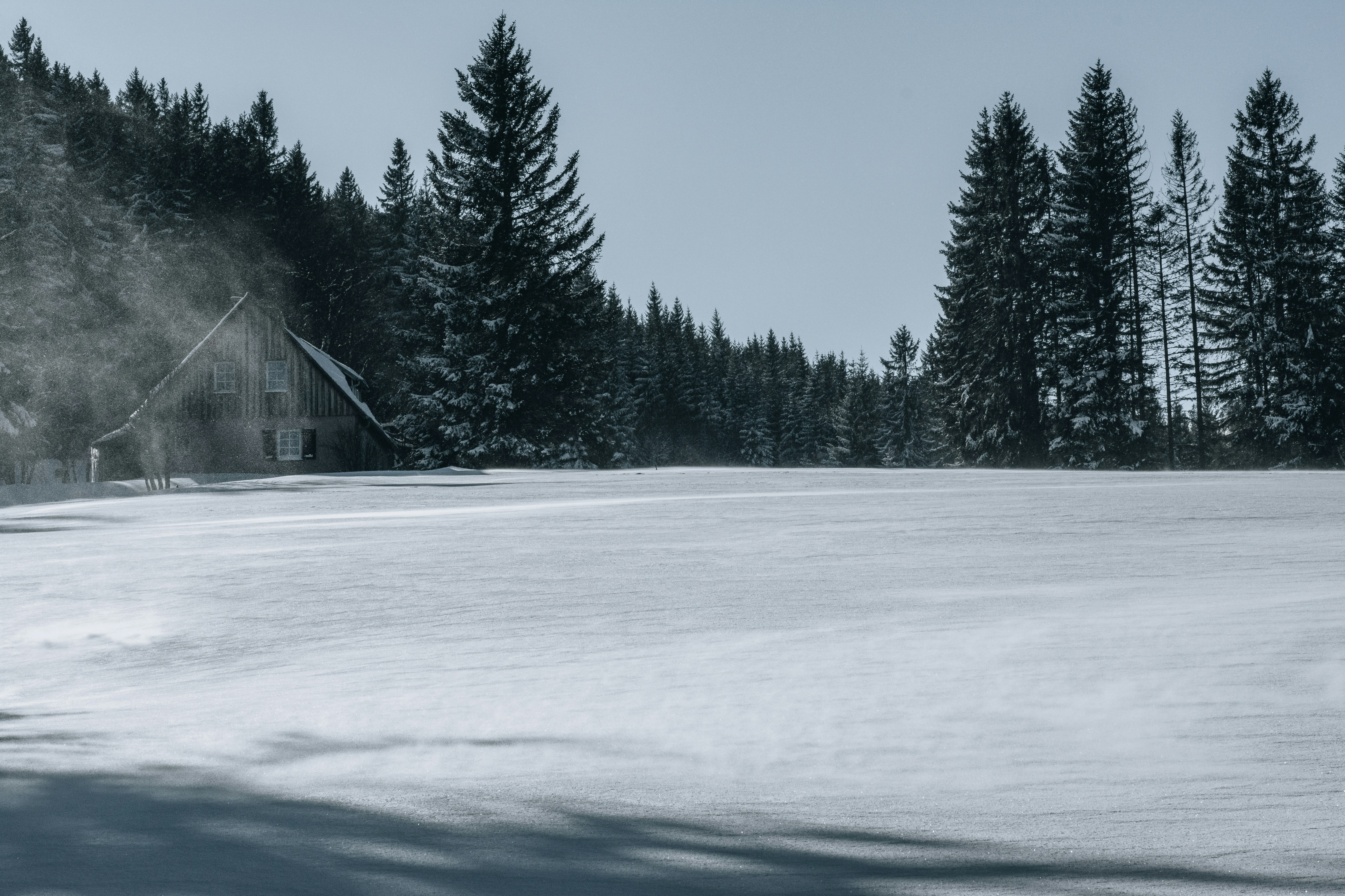 A secluded wooden cabin sits quietly at the edge of a snow-blanketed forest, as gusts of wind sweep powdery snow across the open field. The scene evokes solitude and serenity in the heart of a frozen wilderness. | Snowy field with trees and a small cabin.