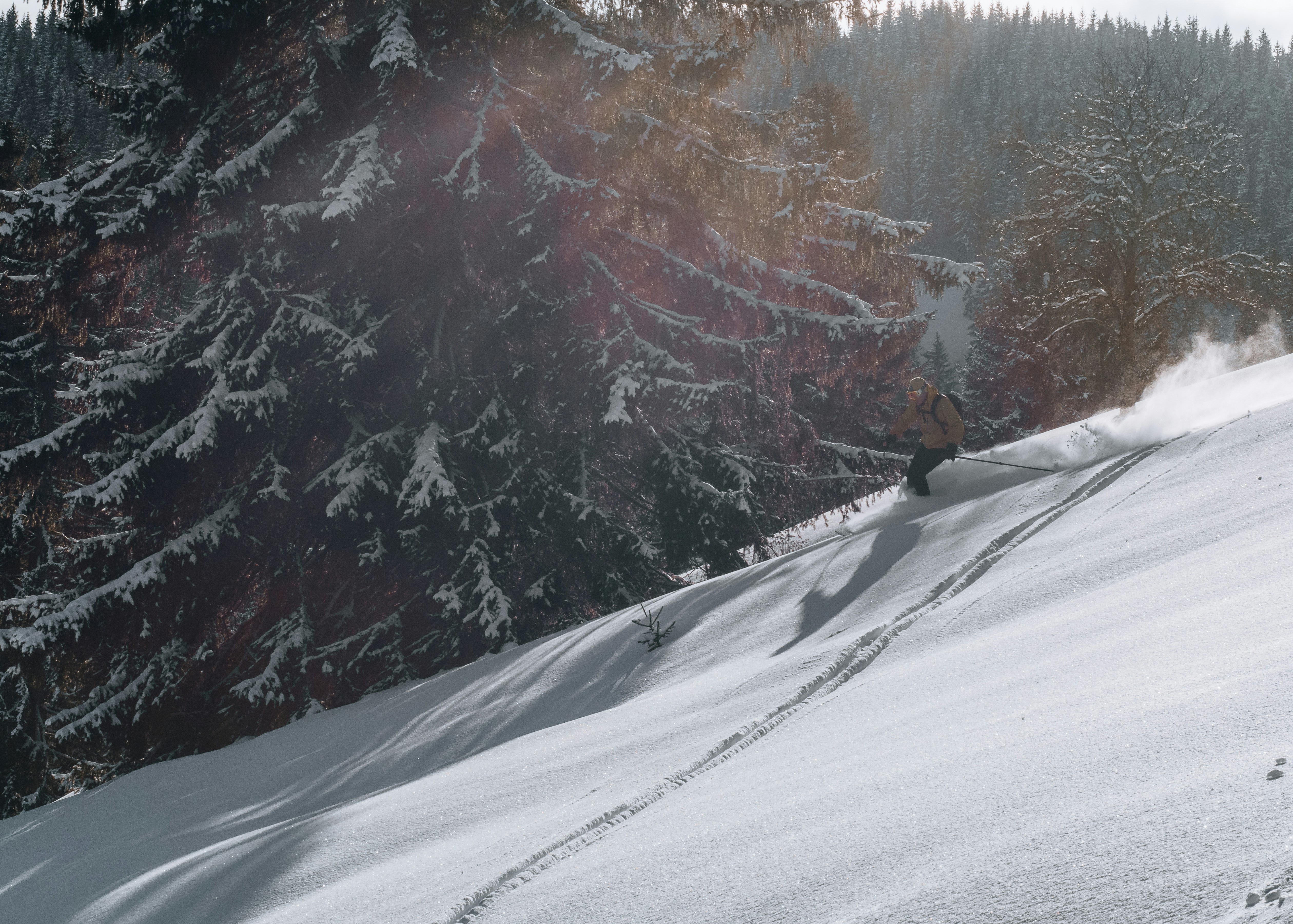 A skier carves through untouched powder on a sun-drenched forest slope, leaving graceful tracks in the fresh snow. Backlit by soft winter light, the scene captures the thrill of alpine adventure and the peaceful beauty of a snow-covered wilderness. | A snowboarder carves down a snowy slope.