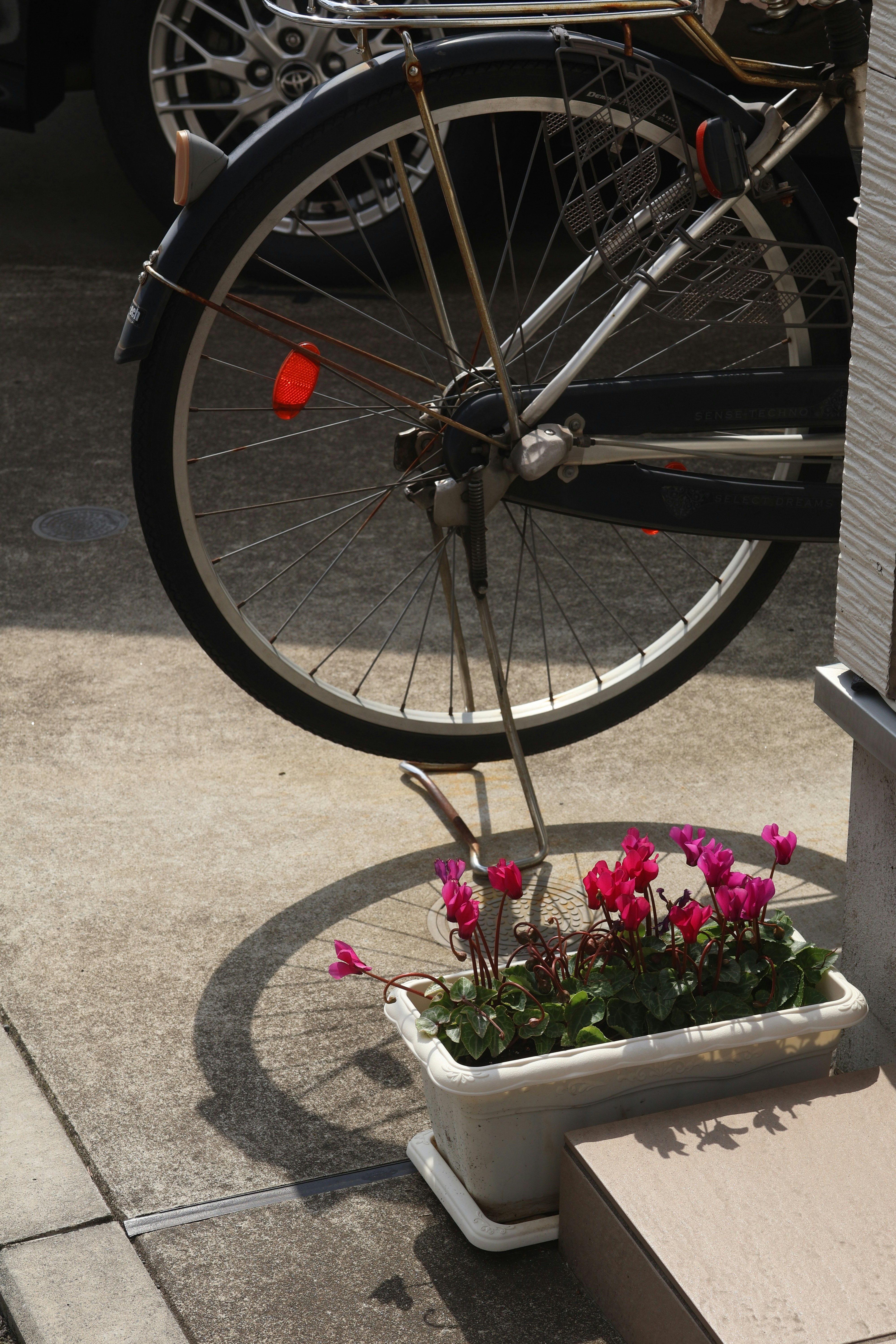 Flowers and Bicycle Wheel: Urban Quiet Under Combined Sun and Shade