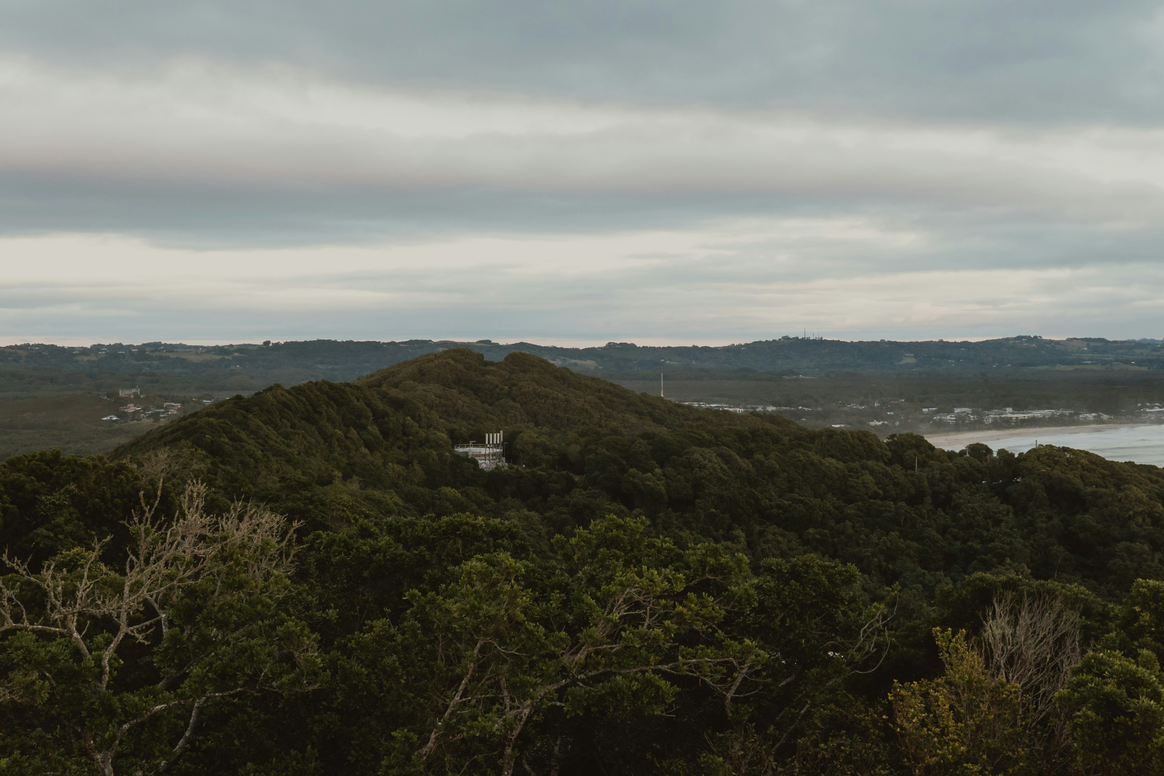 Whispers of the Hilltop: A Journey Through Nature's Embrace