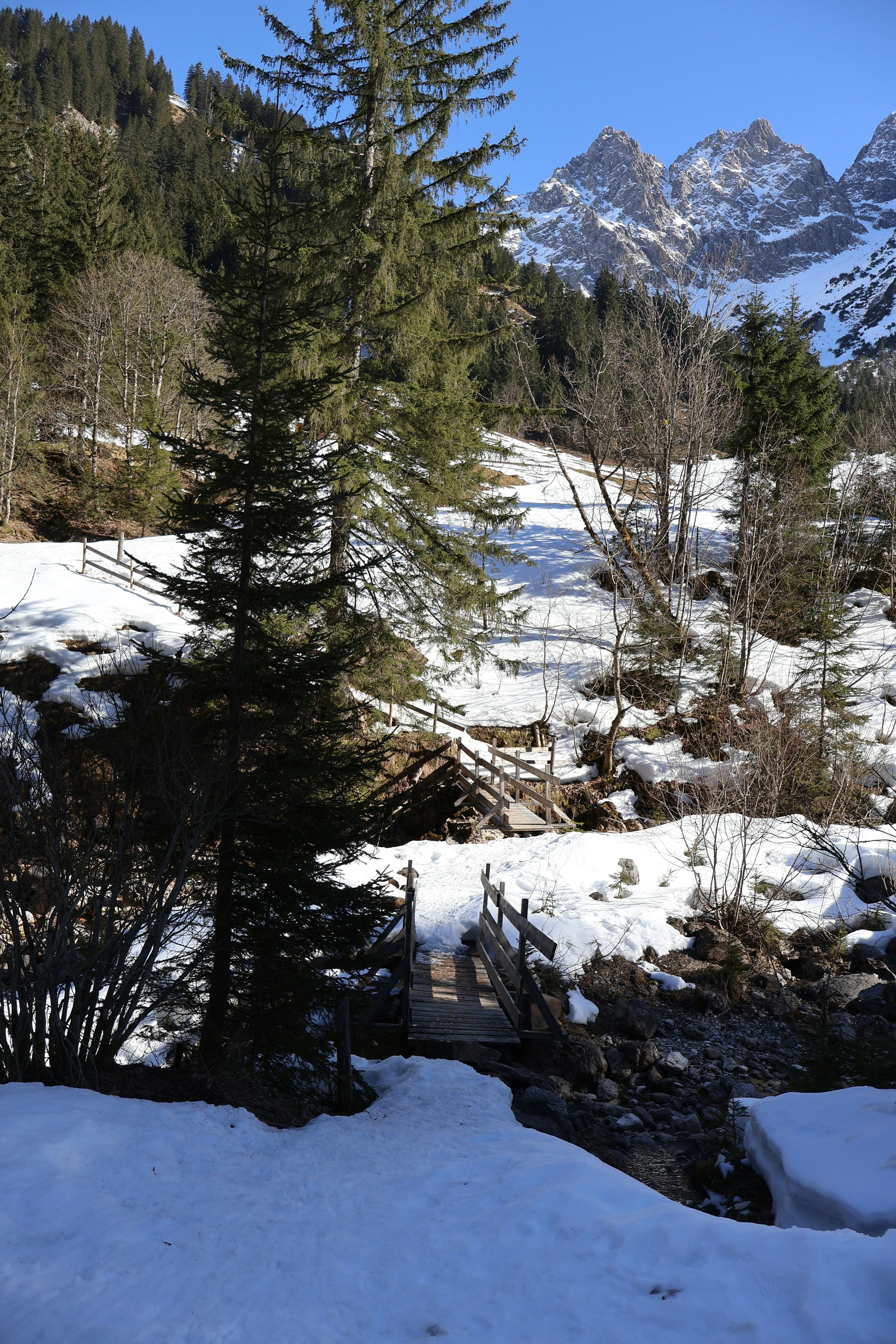 Bridge of Quiet: A Snowbound Path Through Pine and Peak
