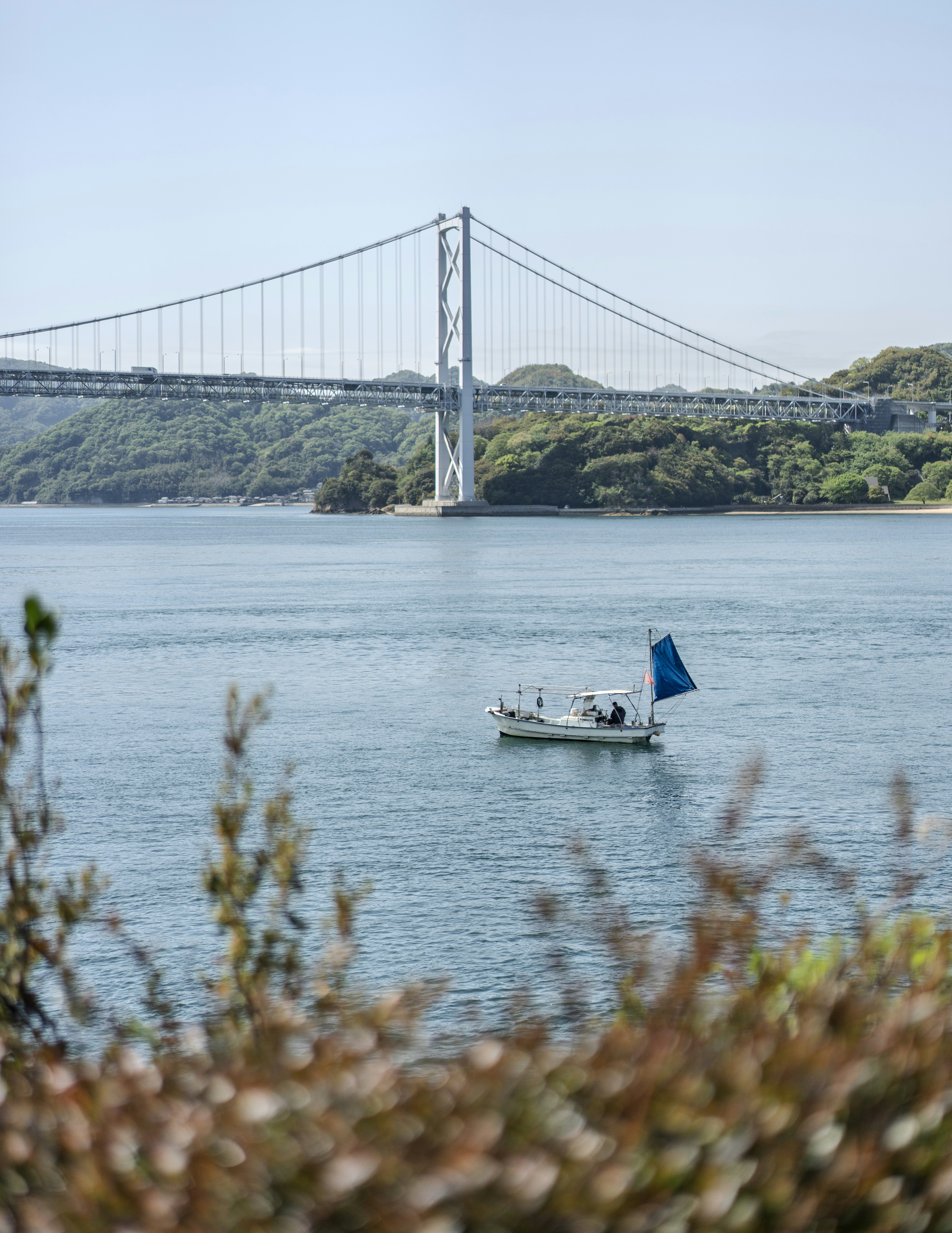 Boat sails under a bridge on a sunny day.
