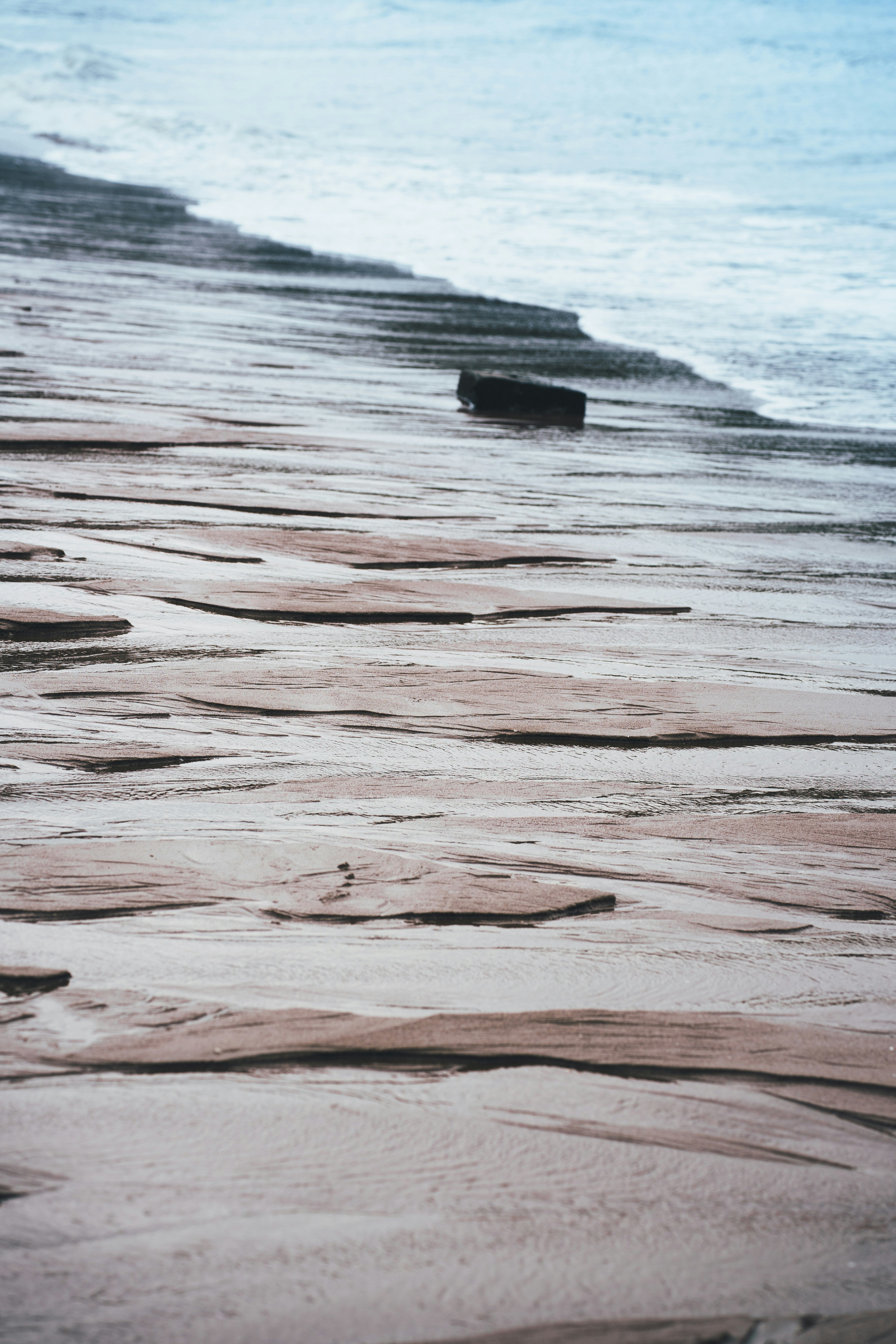 Rock on a mosaic shoreline carved by tidal rhythms