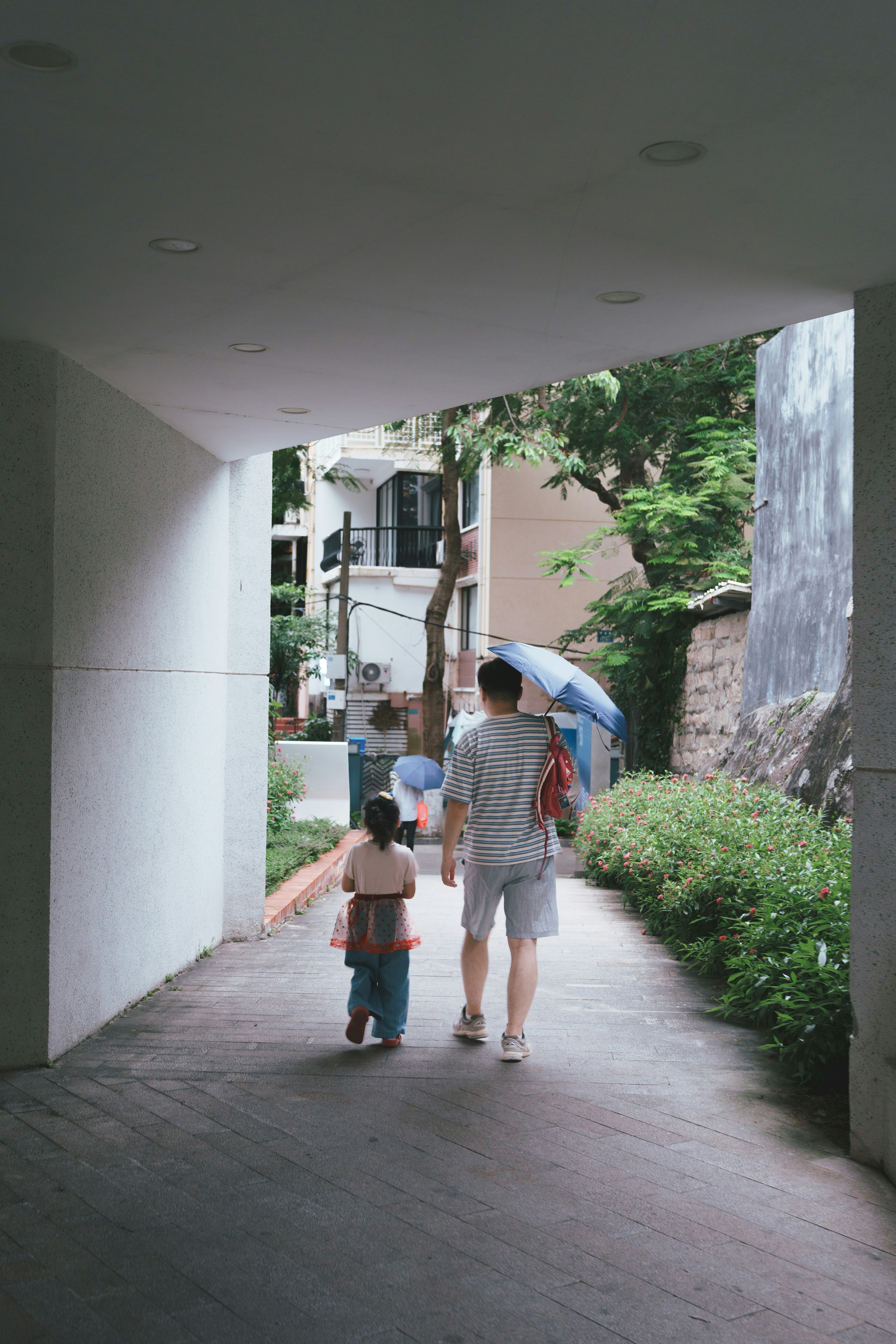 A Gentle Stroll Through Urban Serenity
