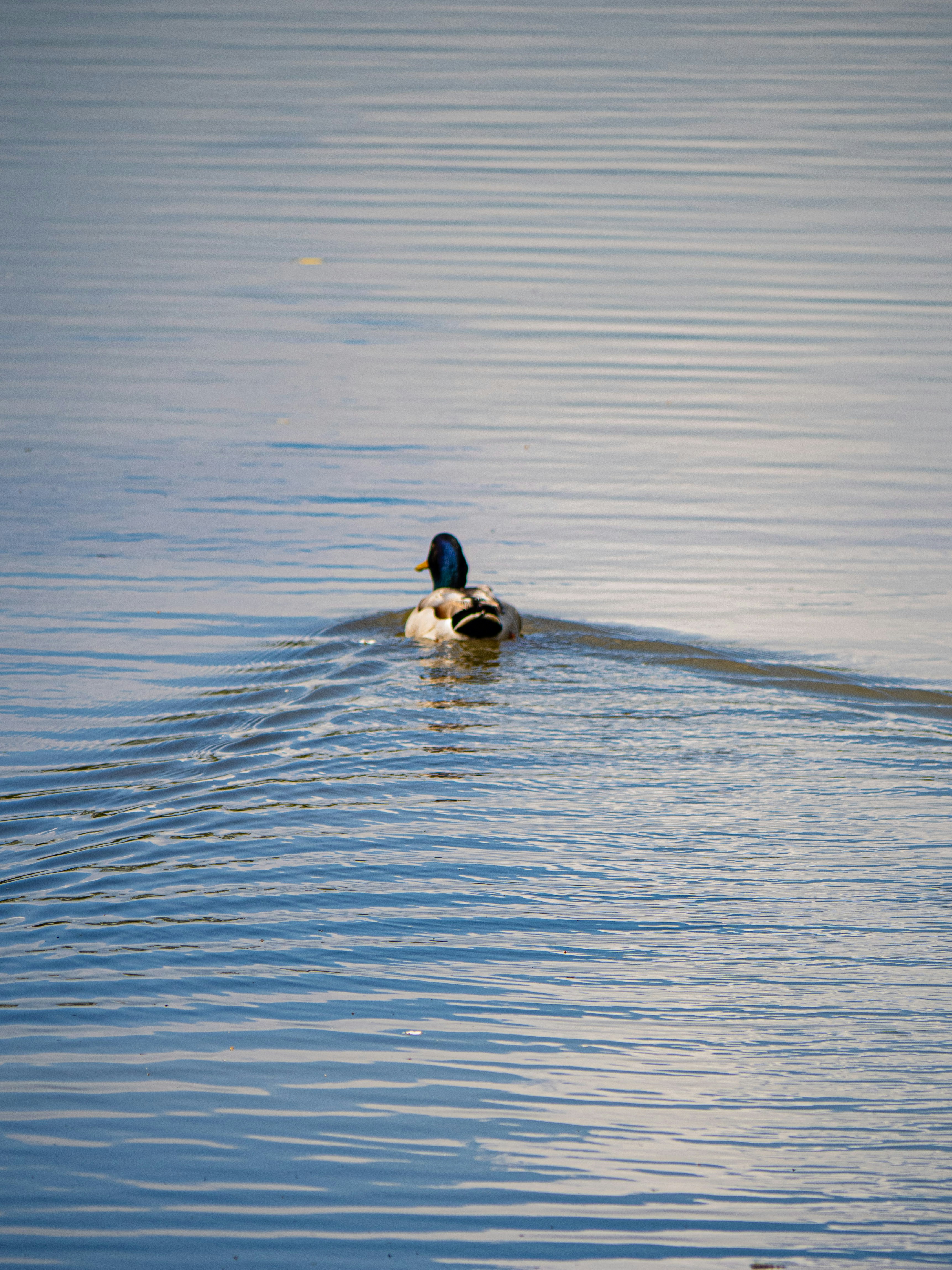 Photo by Diego Romeo with OM System OM-1