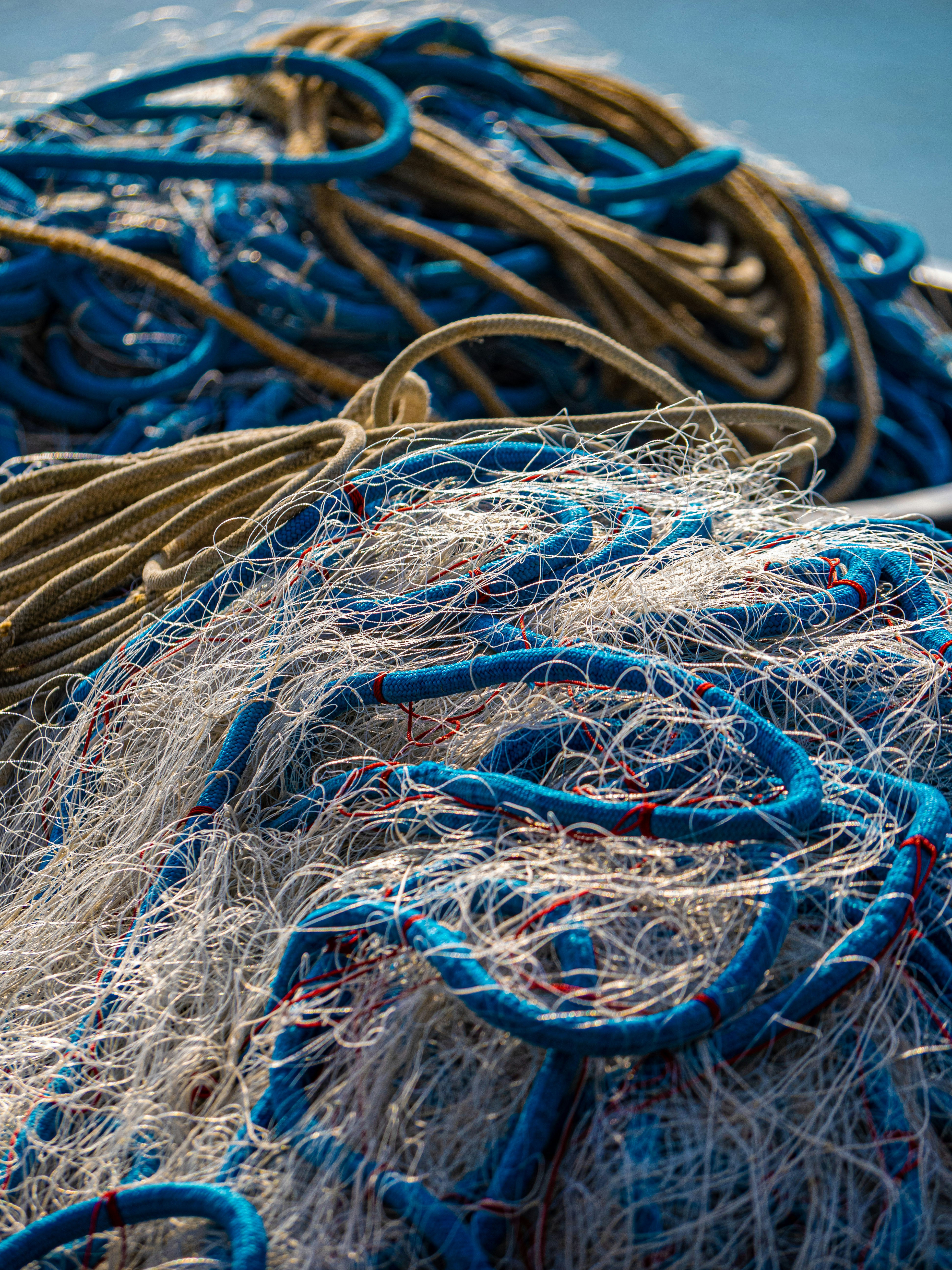 A vibrant collection of fishing nets and ropes, showcasing intricate patterns and colors against a serene backdrop. The interplay of light and shadow highlights the materials' textures.