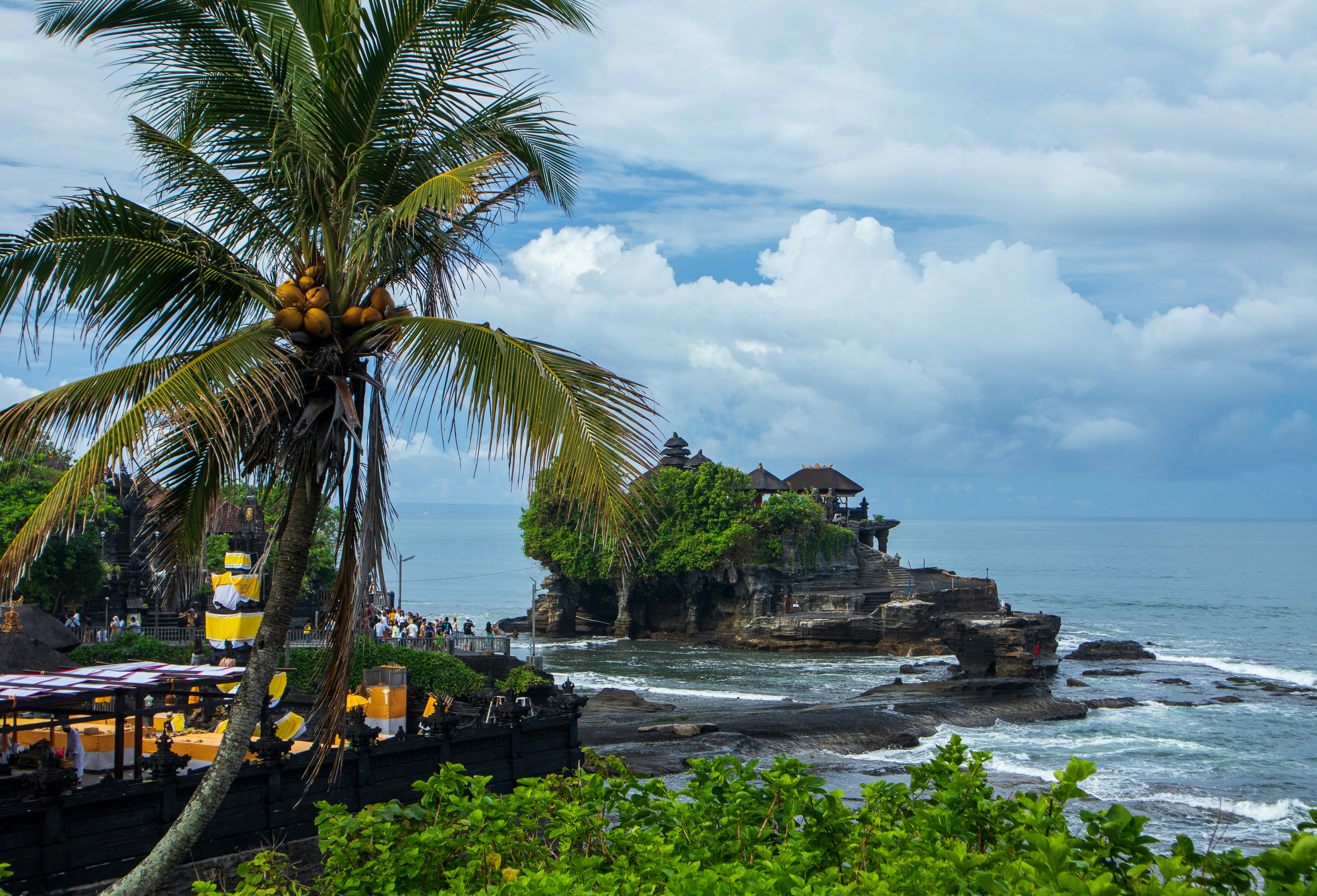 Temple Isle Beyond the Palm: A Coastline Portrait of Rock, Sea, and Sky