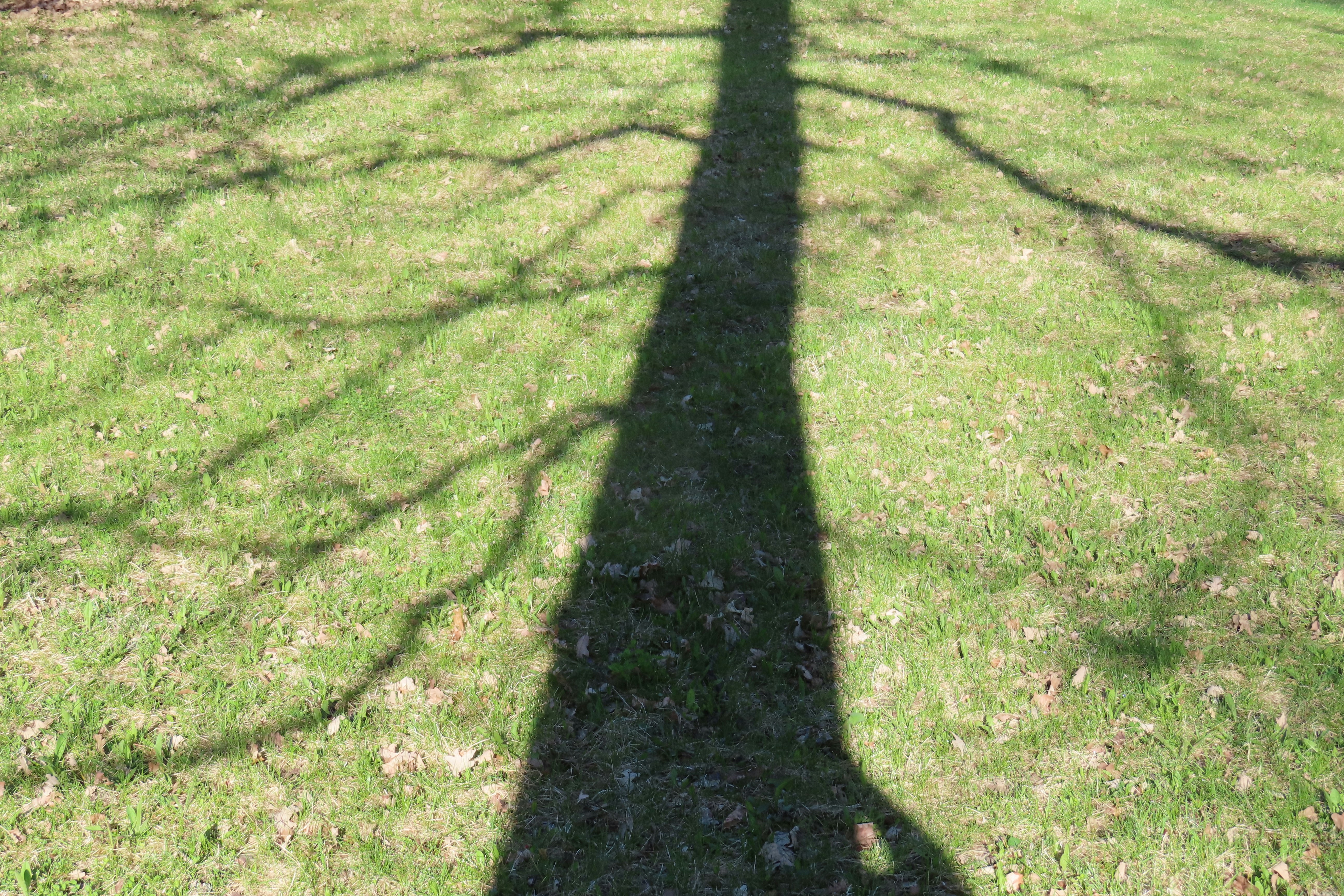 Gary Fultz (@garyfultz) | Komunitas Foto Unsplash