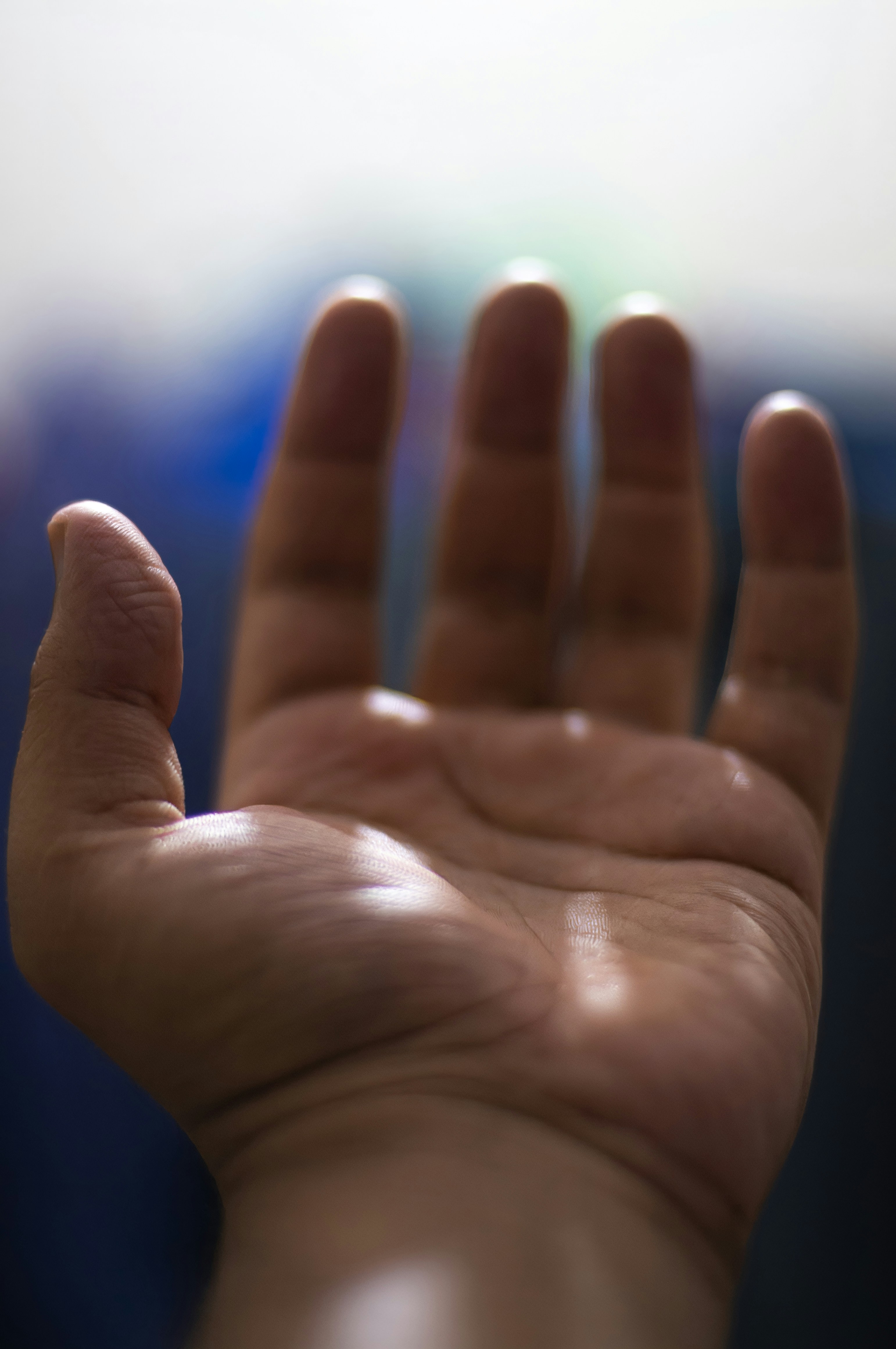 An open hand reaches out towards the light.