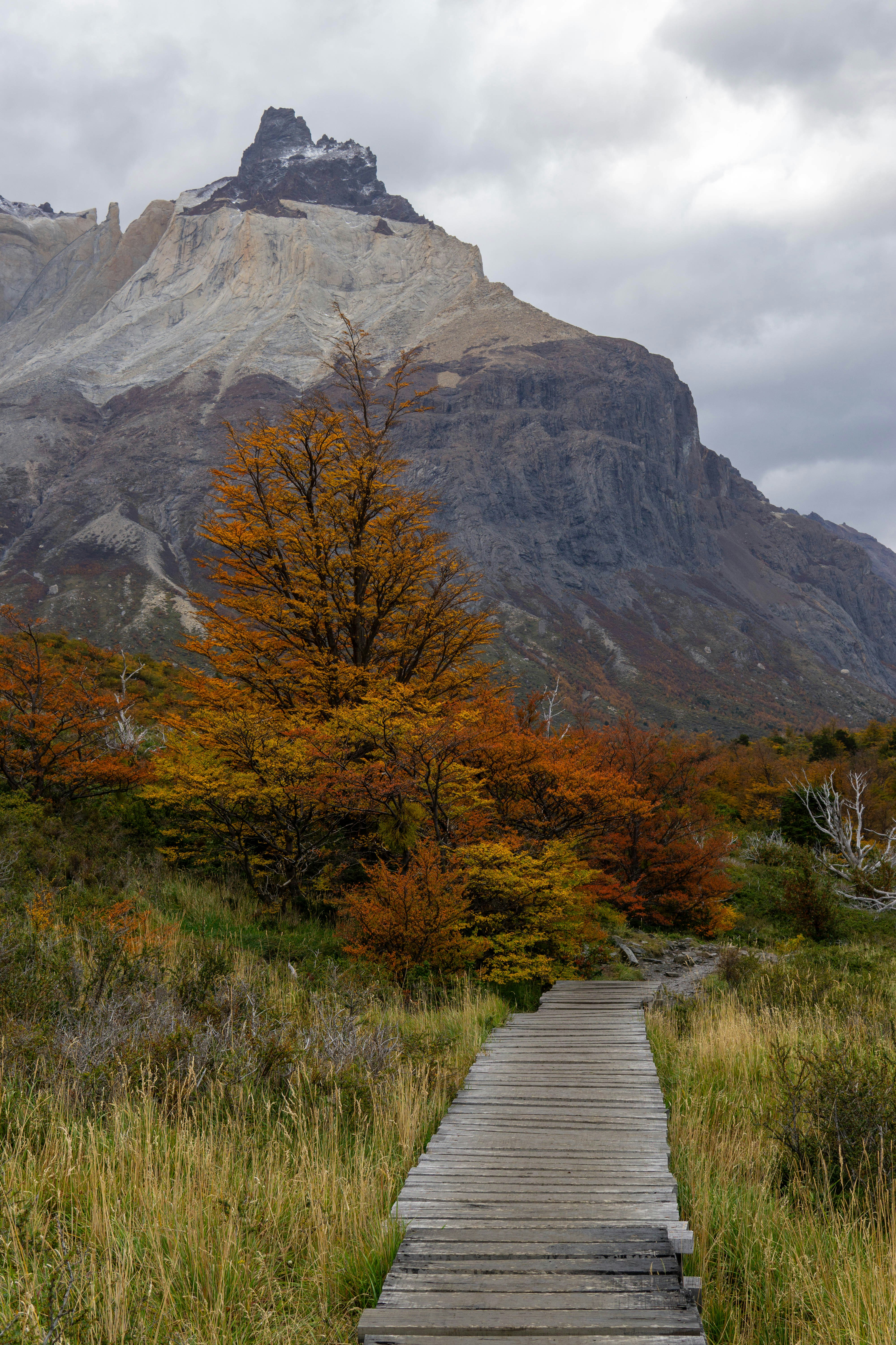 A wooden path leads toward a mountain landscape. photo – Free Wallpaper ...