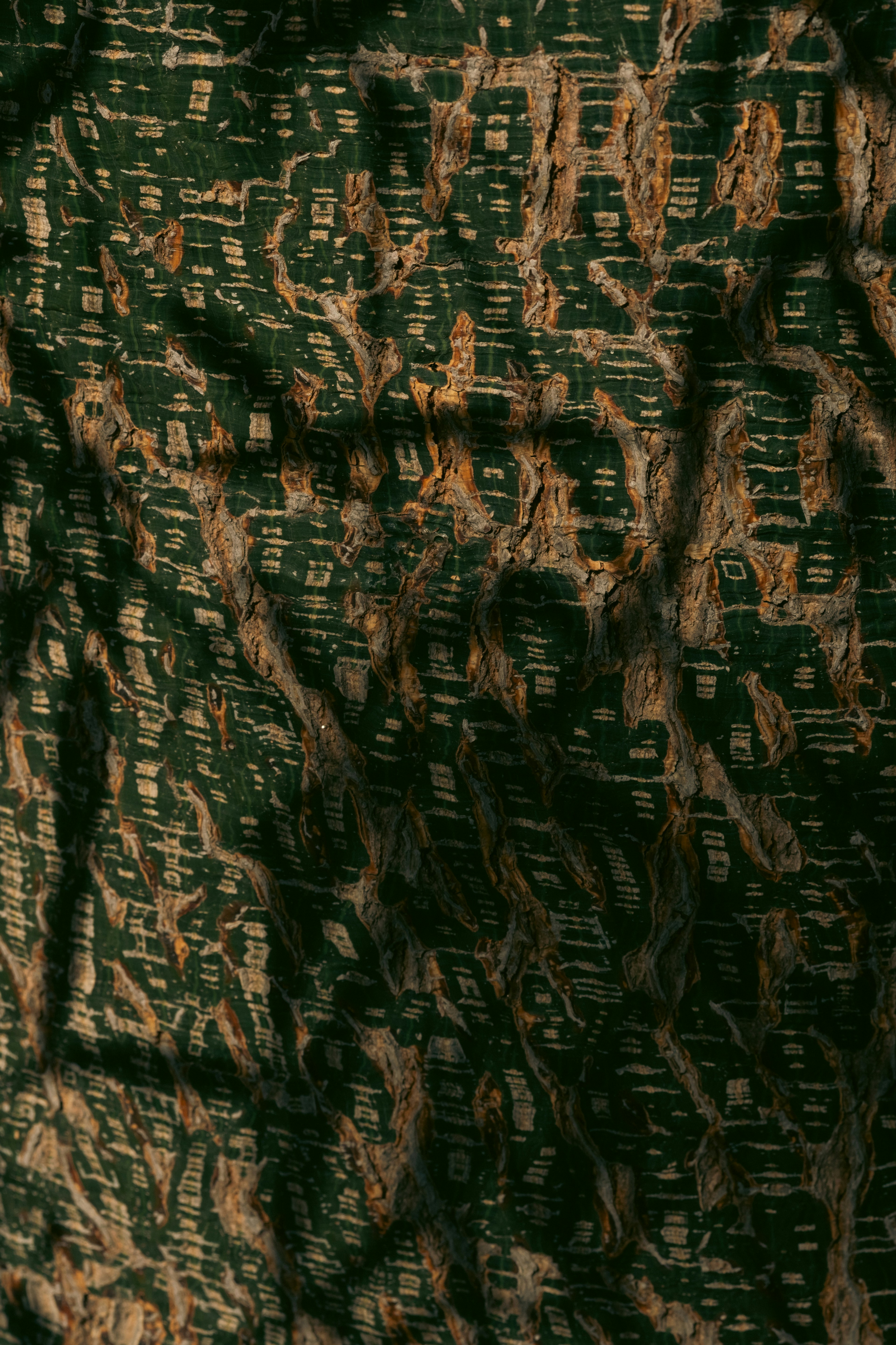 Nature's Textured Tapestry