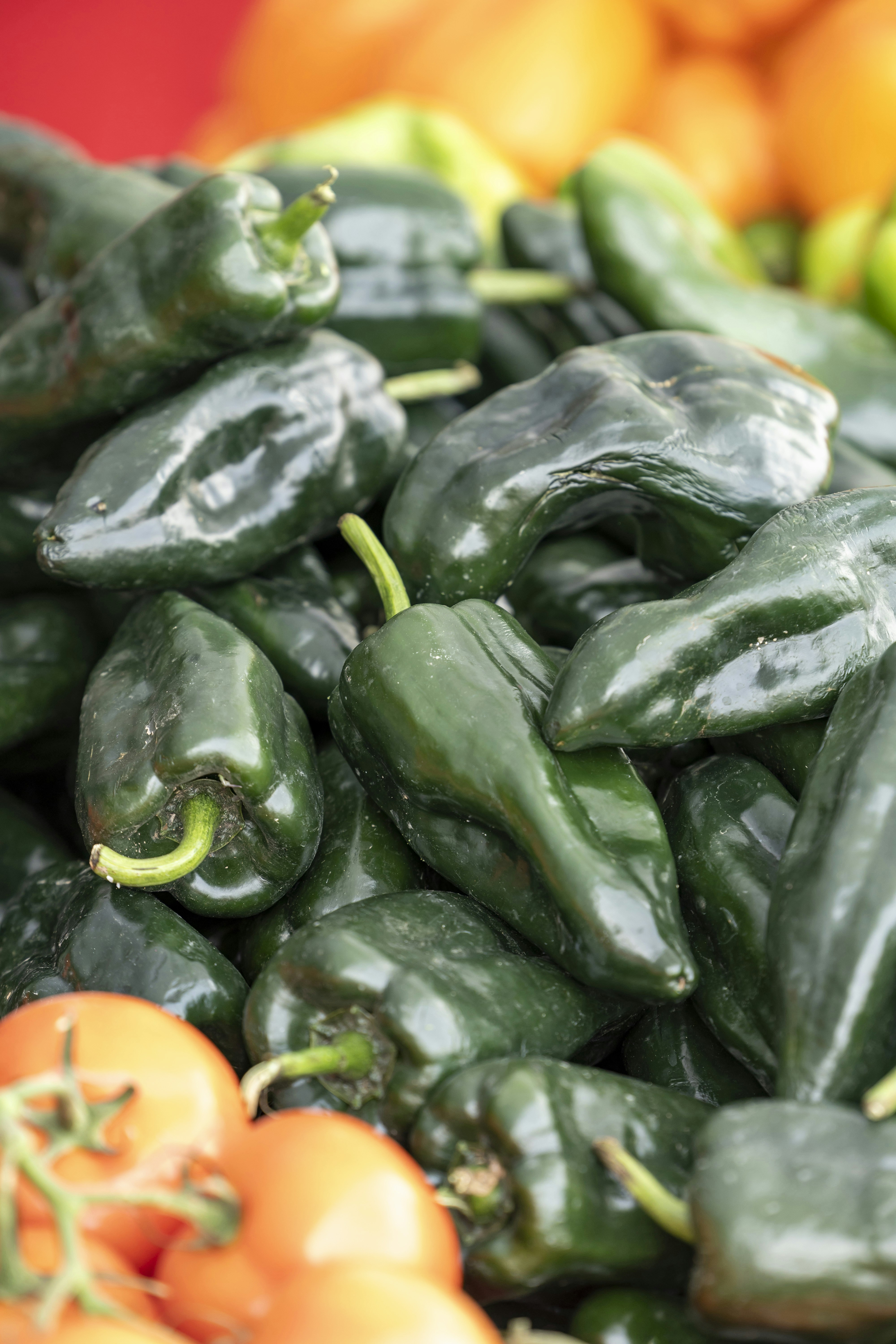 Montón de chiles poblanos frescos de color verde oscuro. foto – Imagen ...