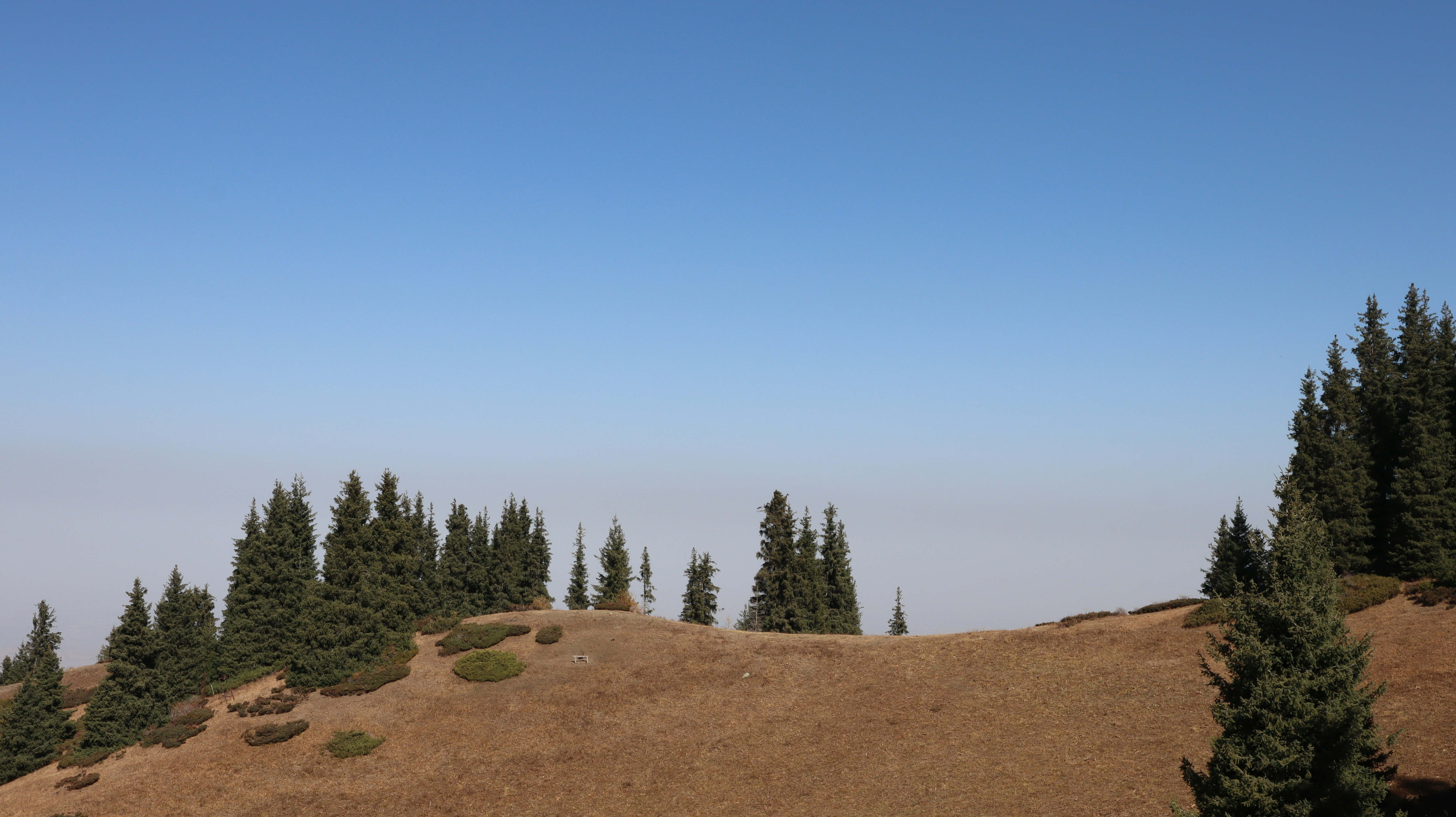 Photo by Valya Khudyakova with Canon EOS M50 Mark II