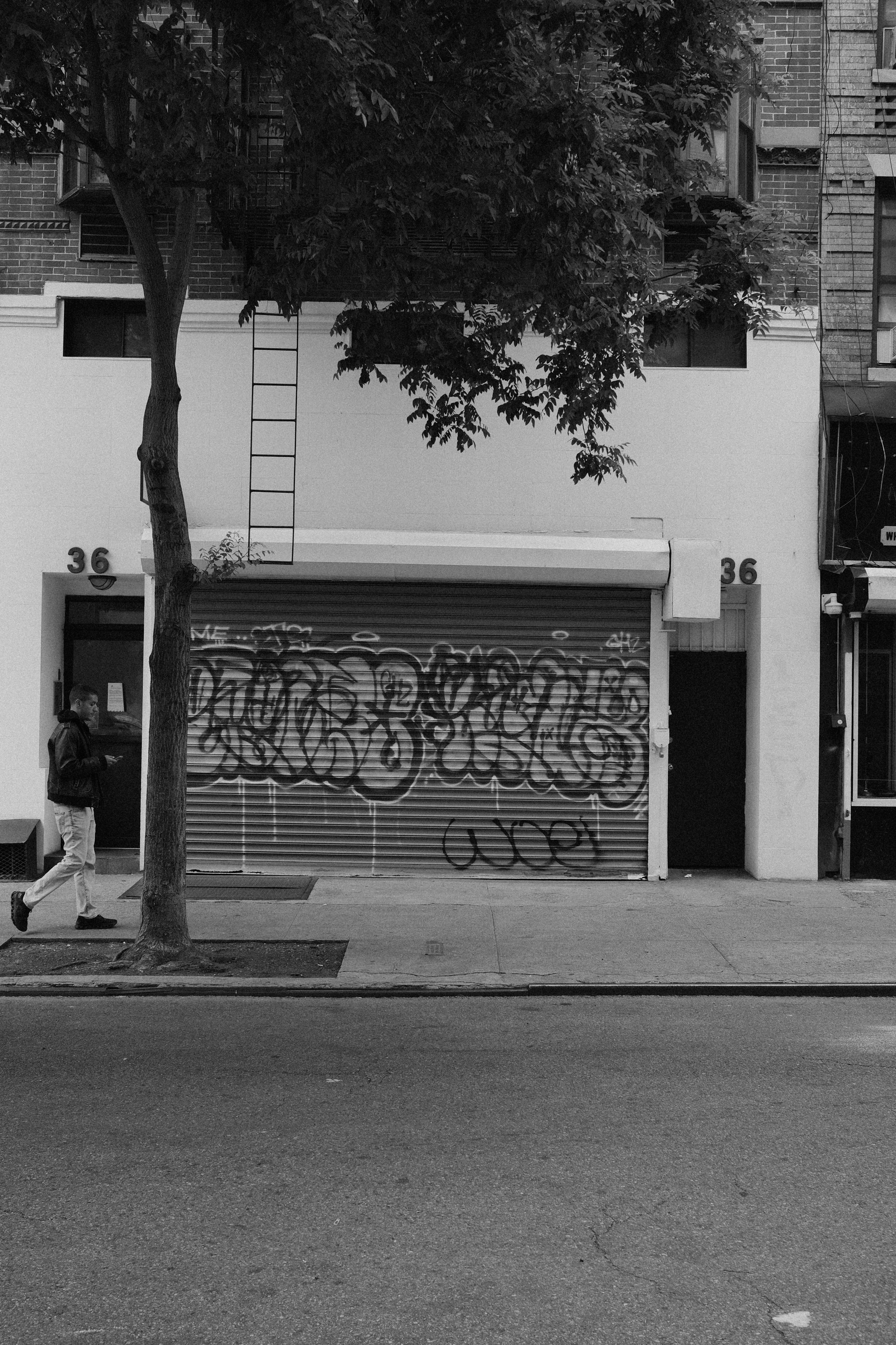 A storefront with graffiti, street, and tree. photo – Free Art Image on ...