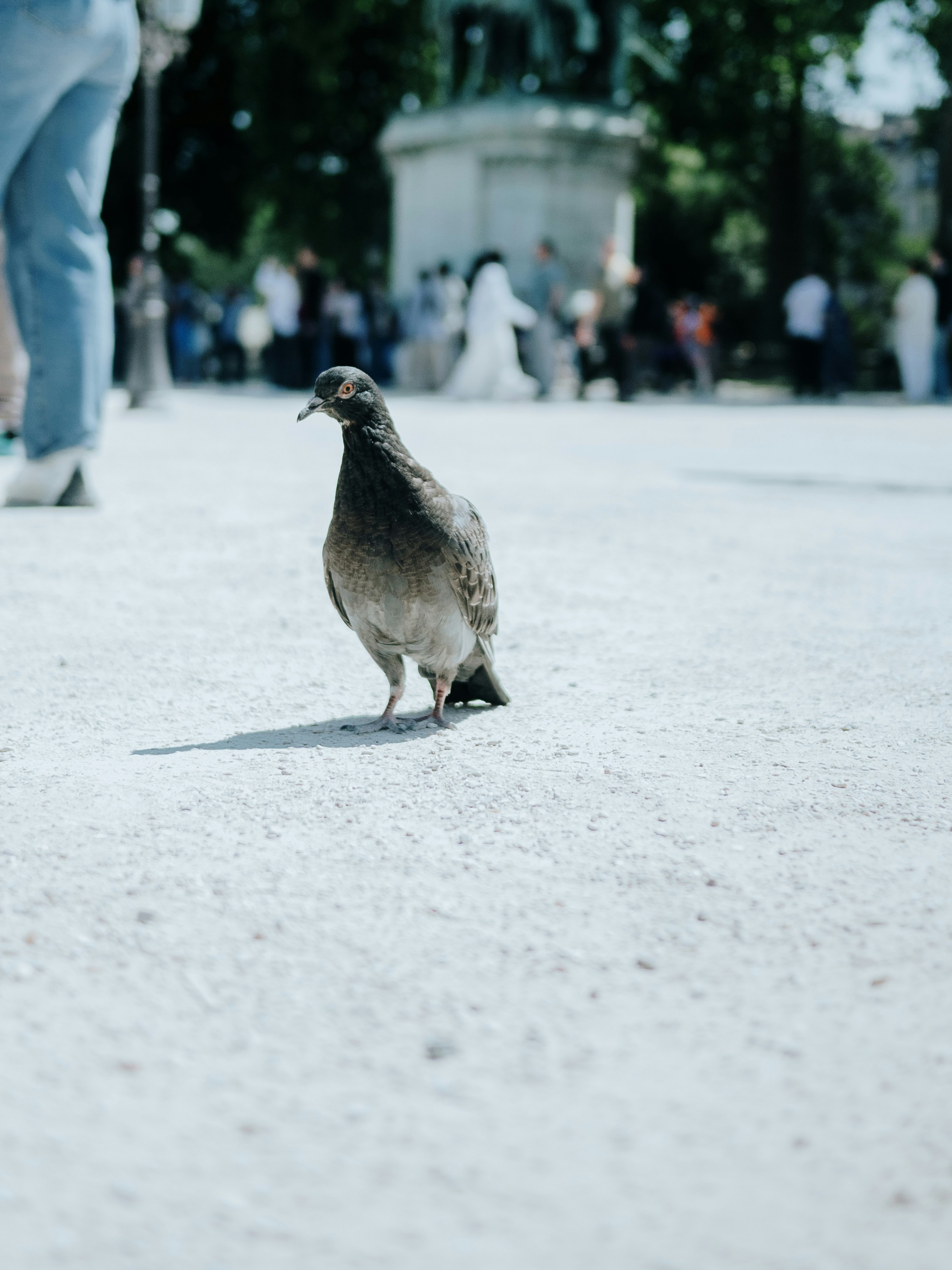 Photo by Cande Westh with Panasonic Lumix G7