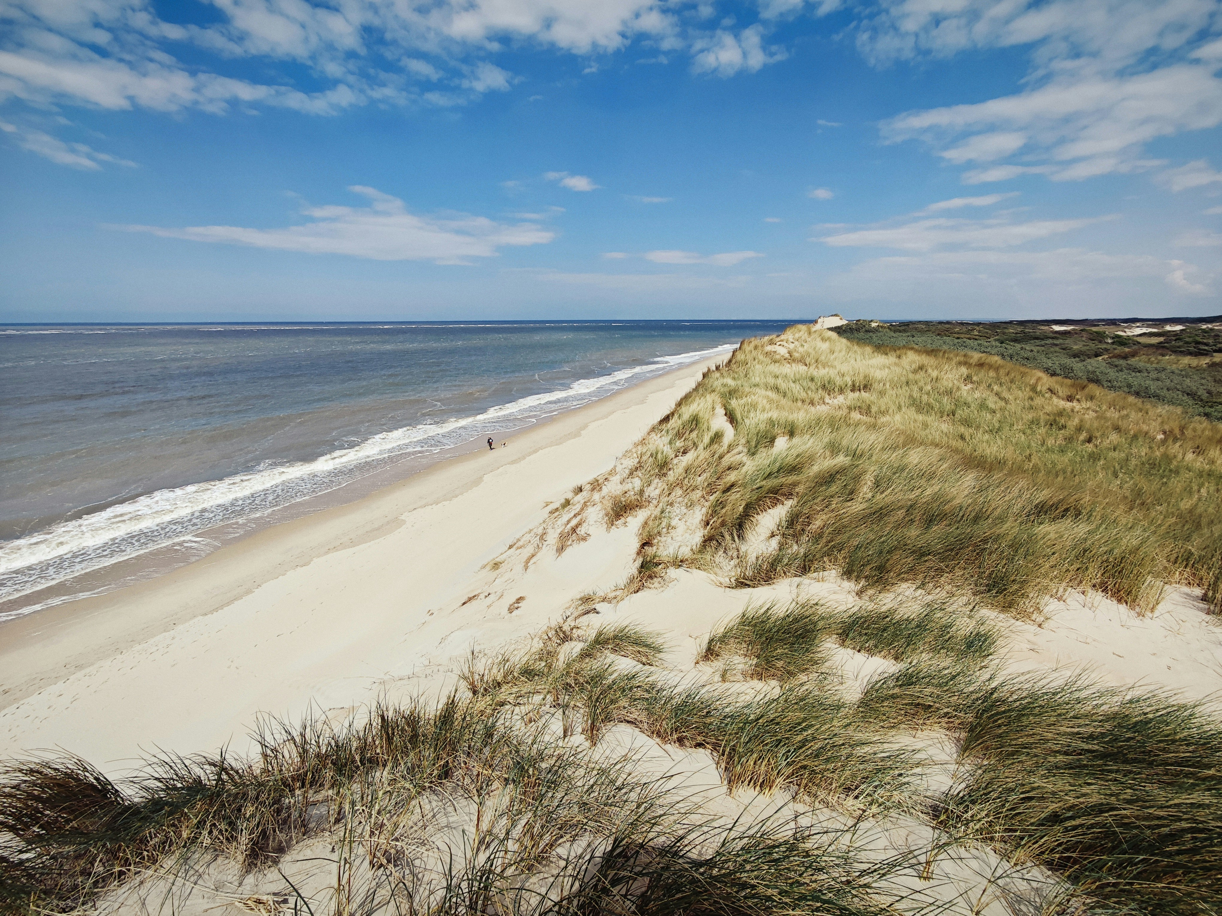 Sample photo from Xiaomi Mi 14