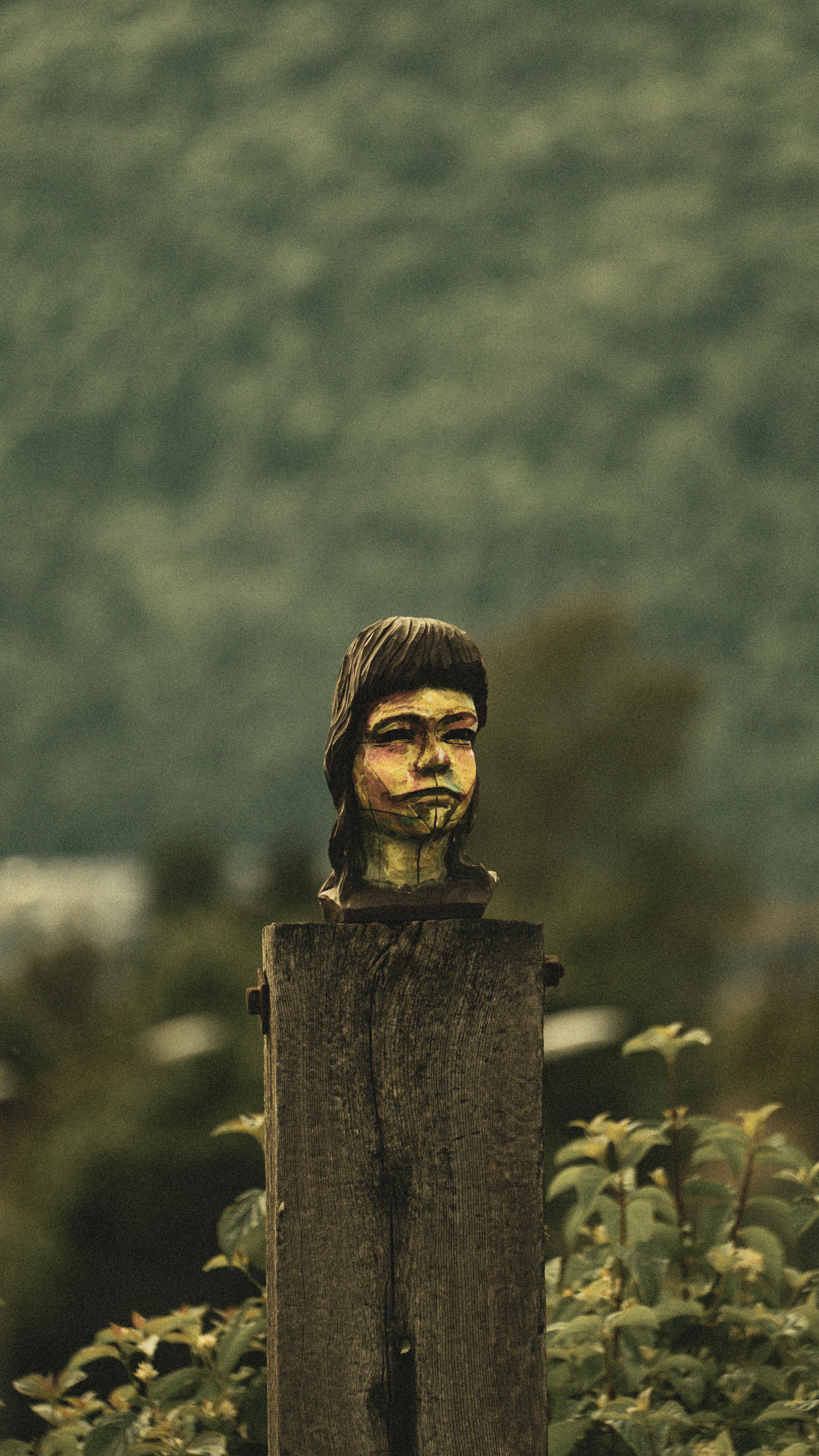 Whimsical Woodcraft: A Portrait of Nature's Artistry